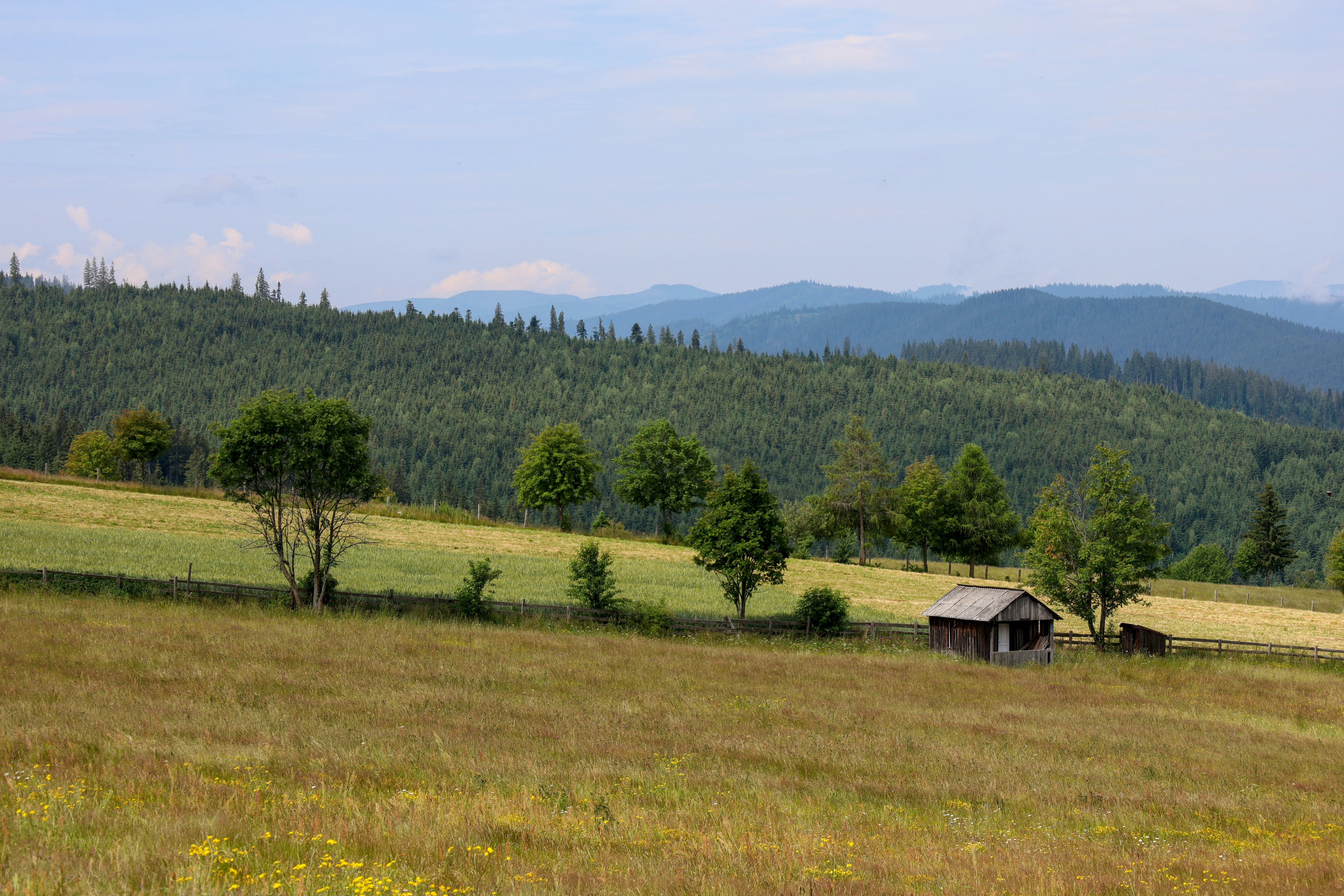 Sunlit Meadow and Ridge: A Quiet Farmstead Beneath Rolling Hills