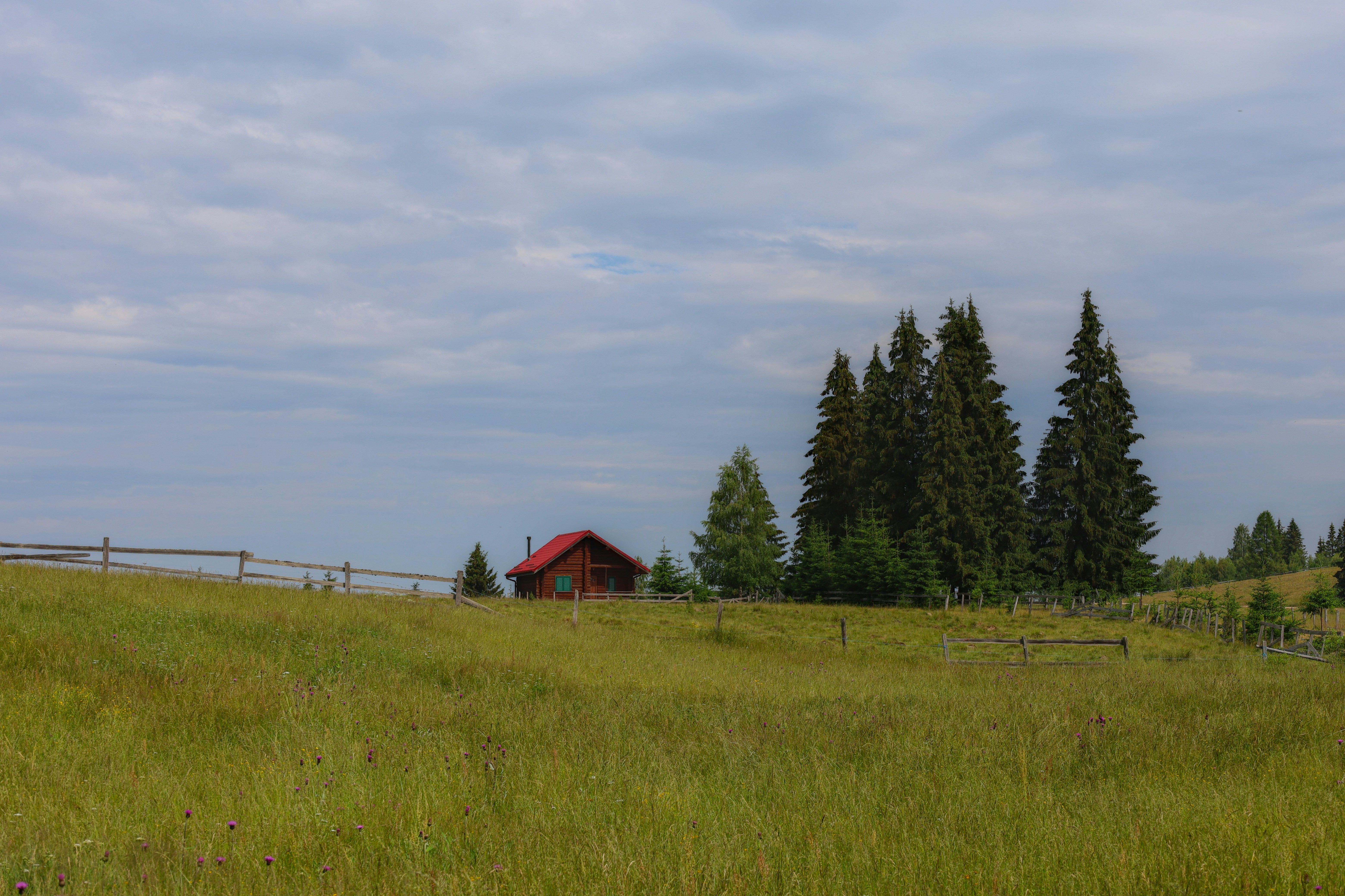 Red cabin nestled in a grassy field with a line of trees and a wooden fence under a cloudy sky.