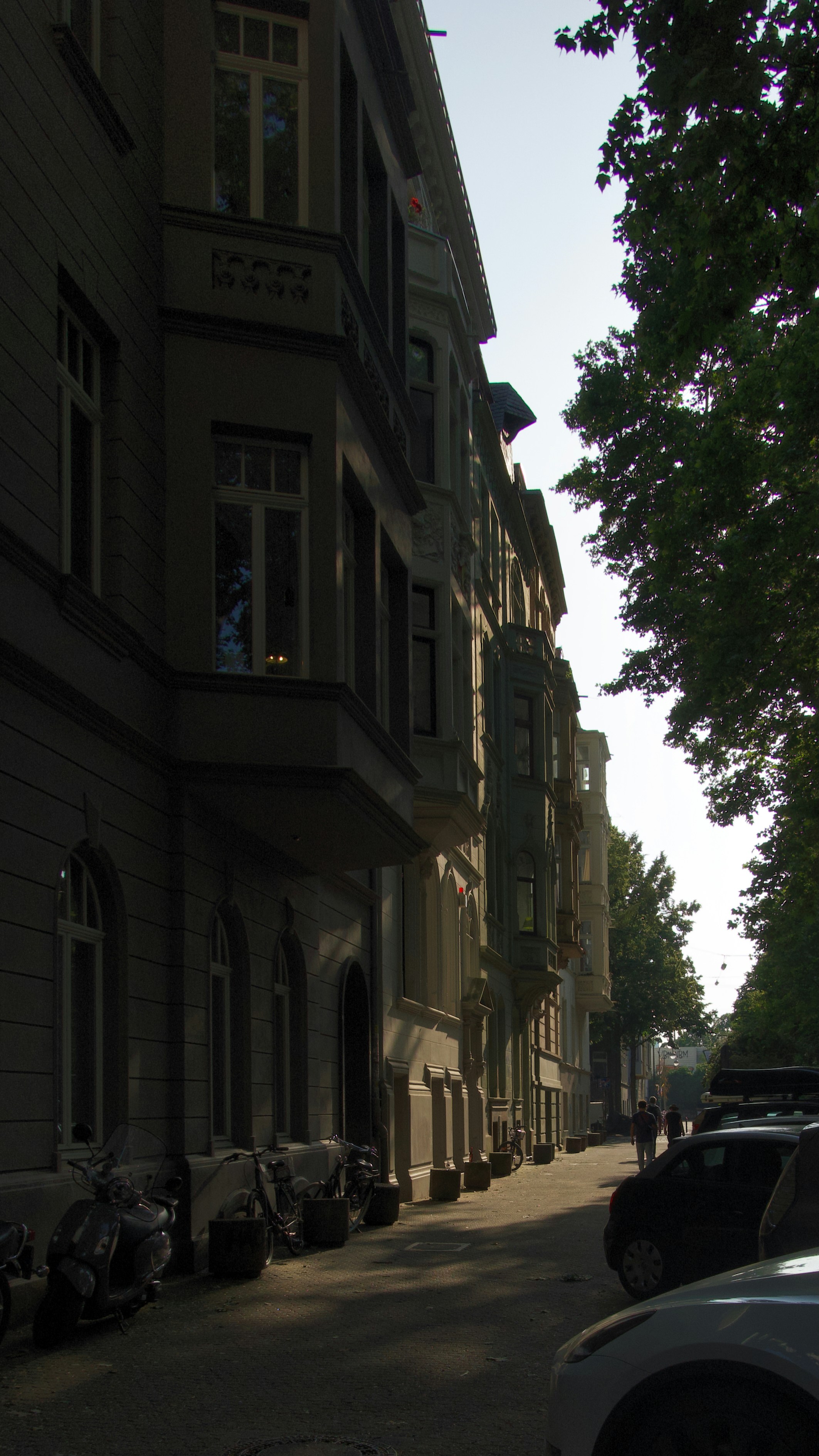 Shade and Structure: A Street of Quiet Architecture