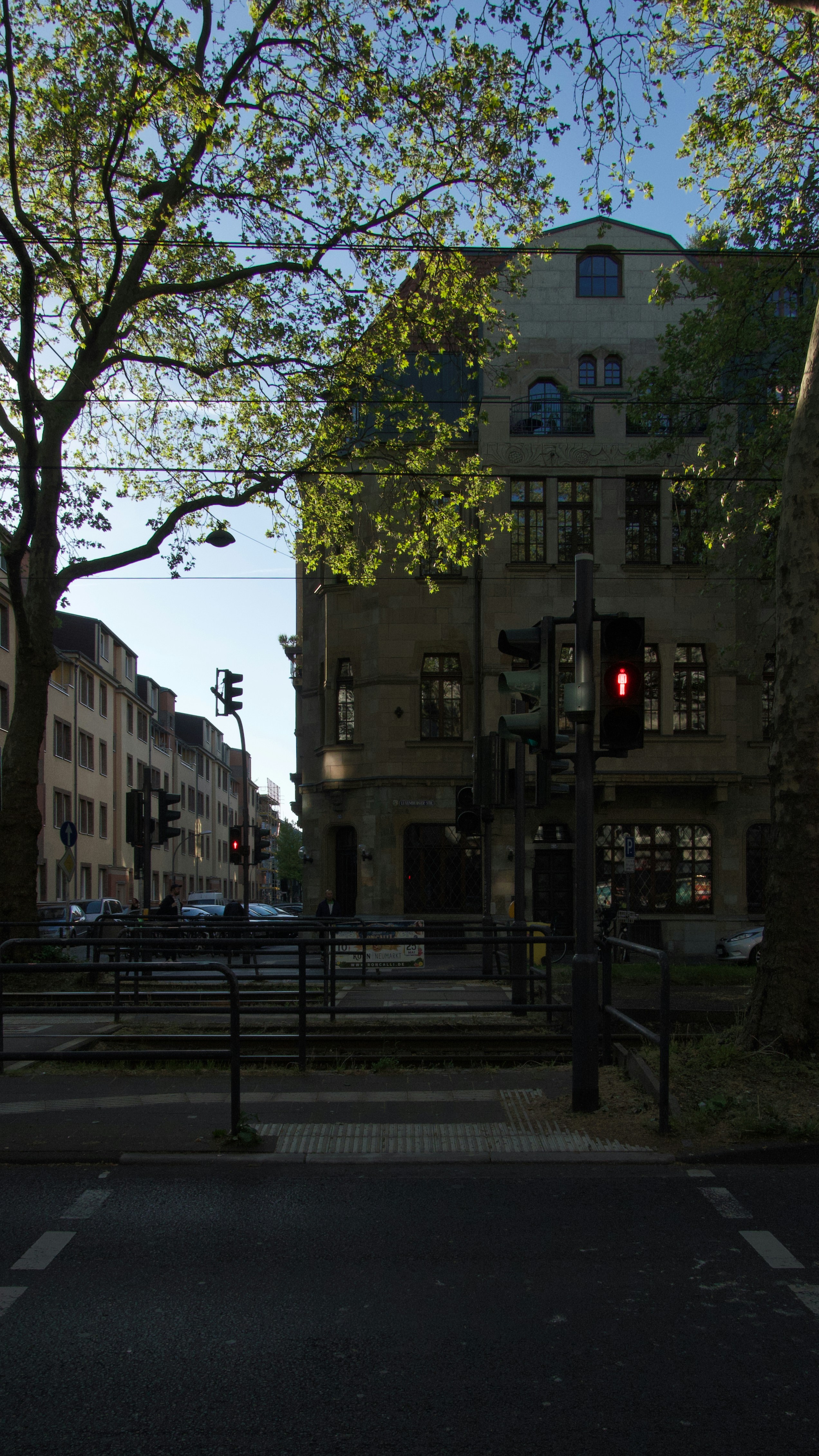 Sunlit Foliage Framing a City Facade
