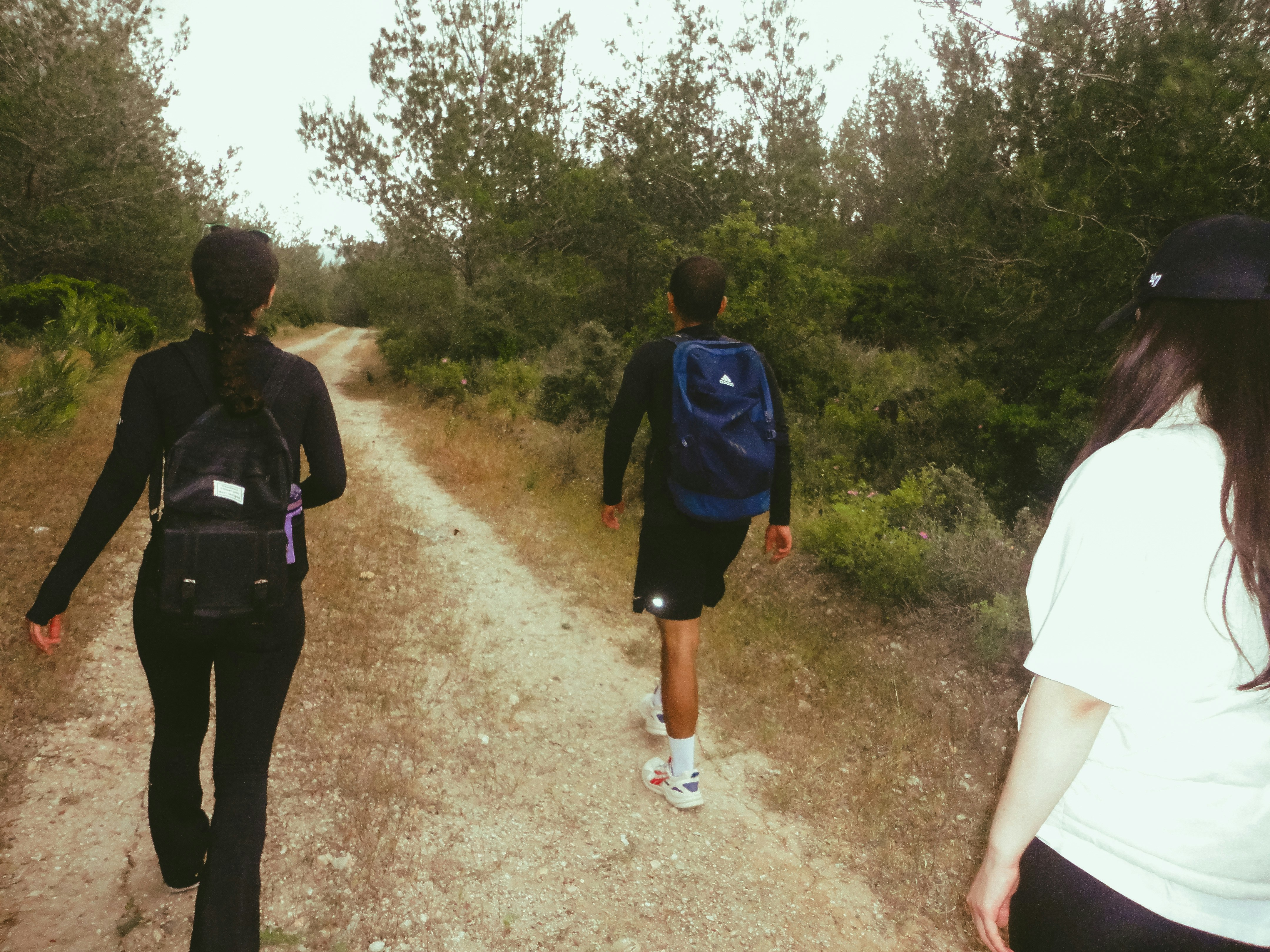 Three hikers on a sunlit dirt trail vanish into a scrubby frontier