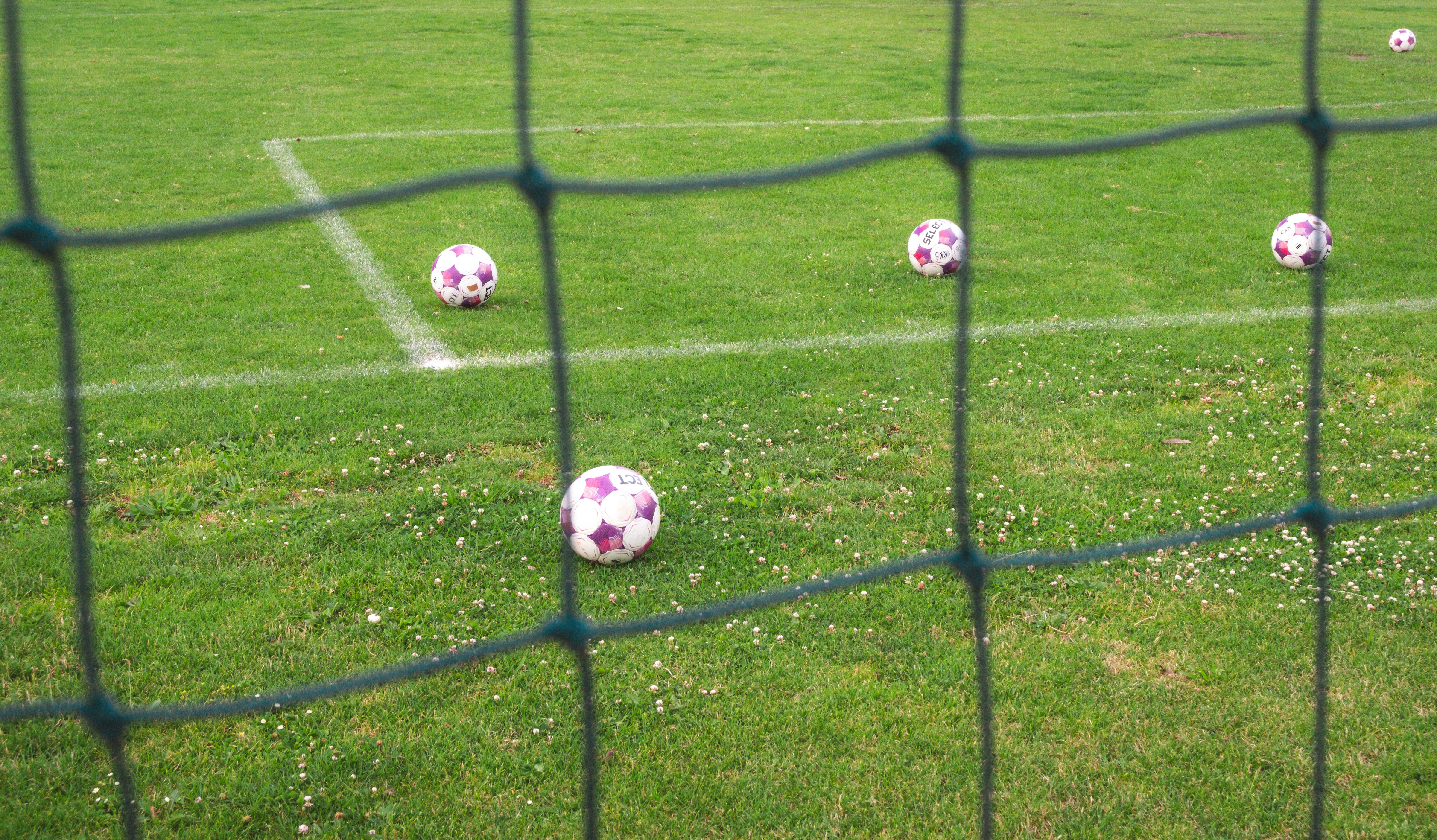 Soccer Nets and Ball Dotted Field