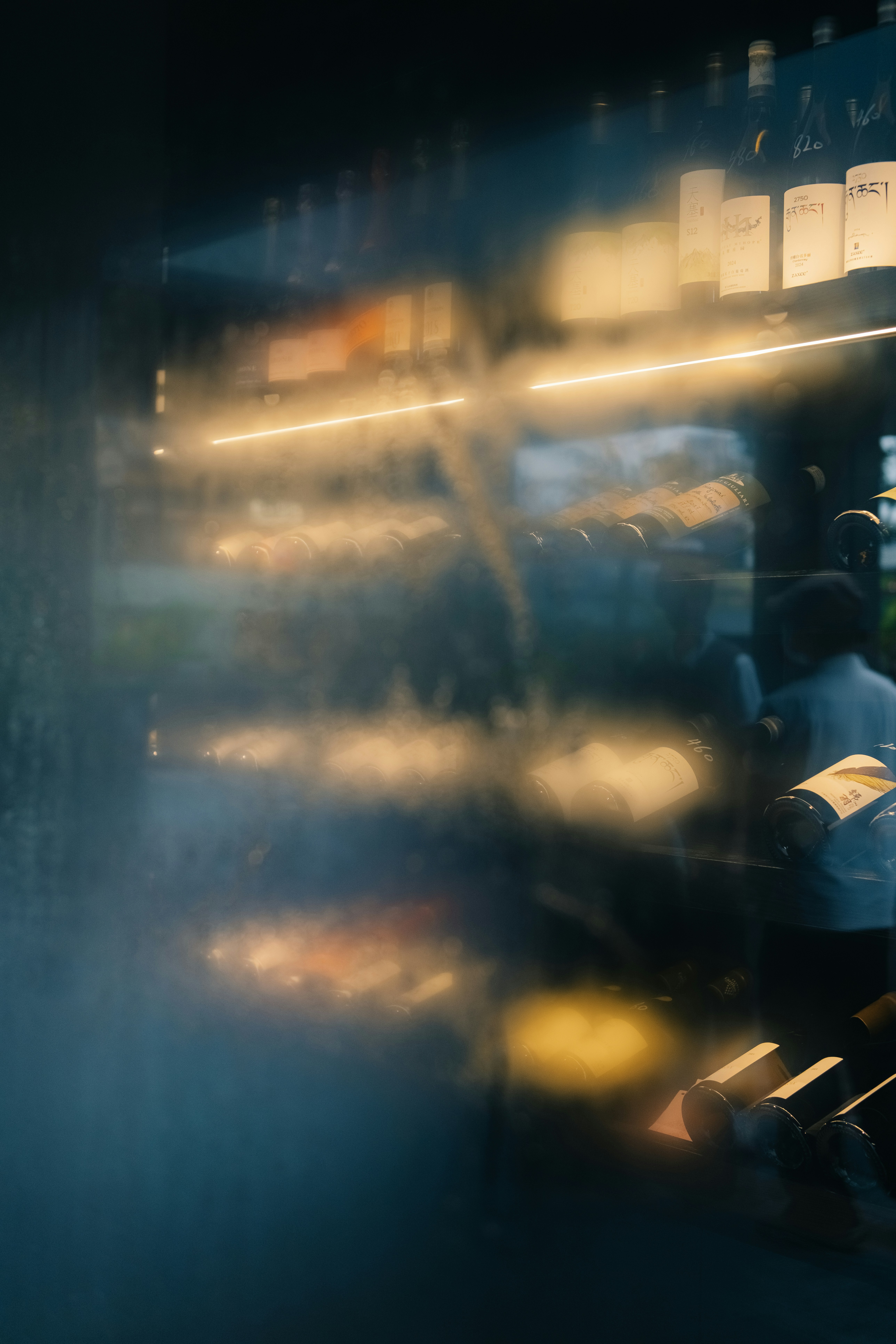 Blurred Bottles, Quiet Glow: A Night at the Hidden Bar