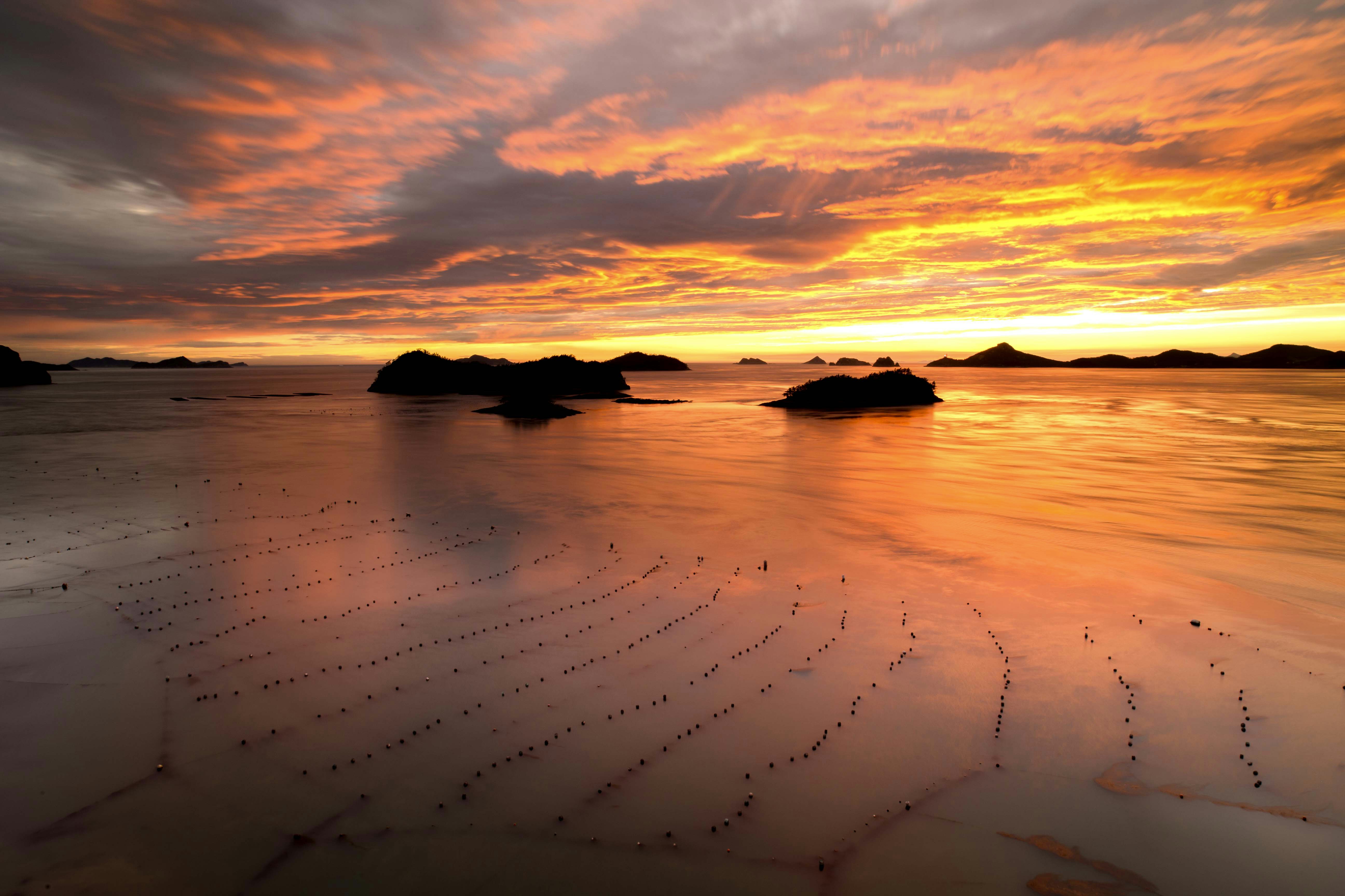 Crimson Tide at Dusk: A Silken Shoreline and Quiet Rocks