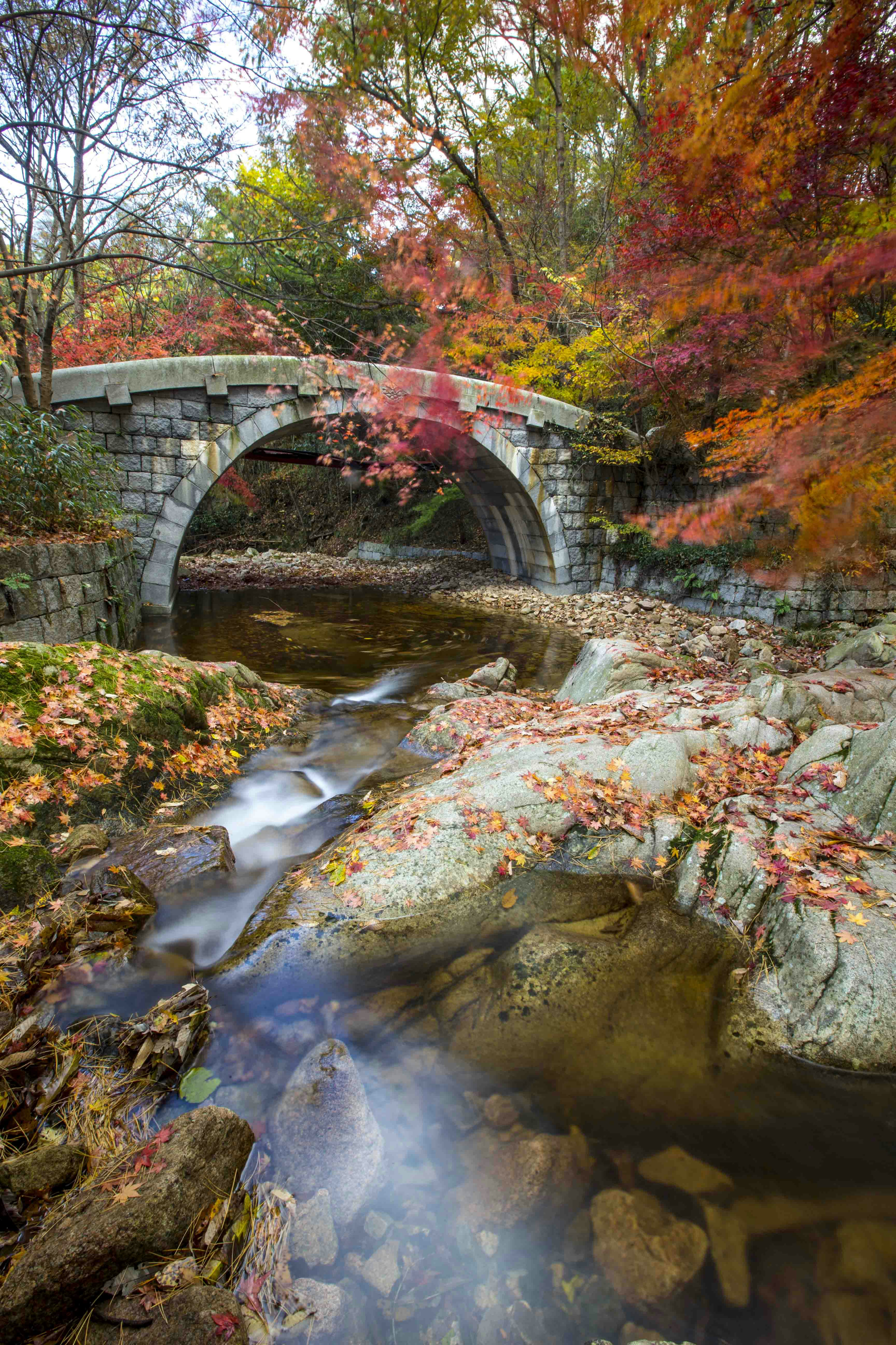 Autumn Arc: A Stone Bridge Over a Quiet Stream