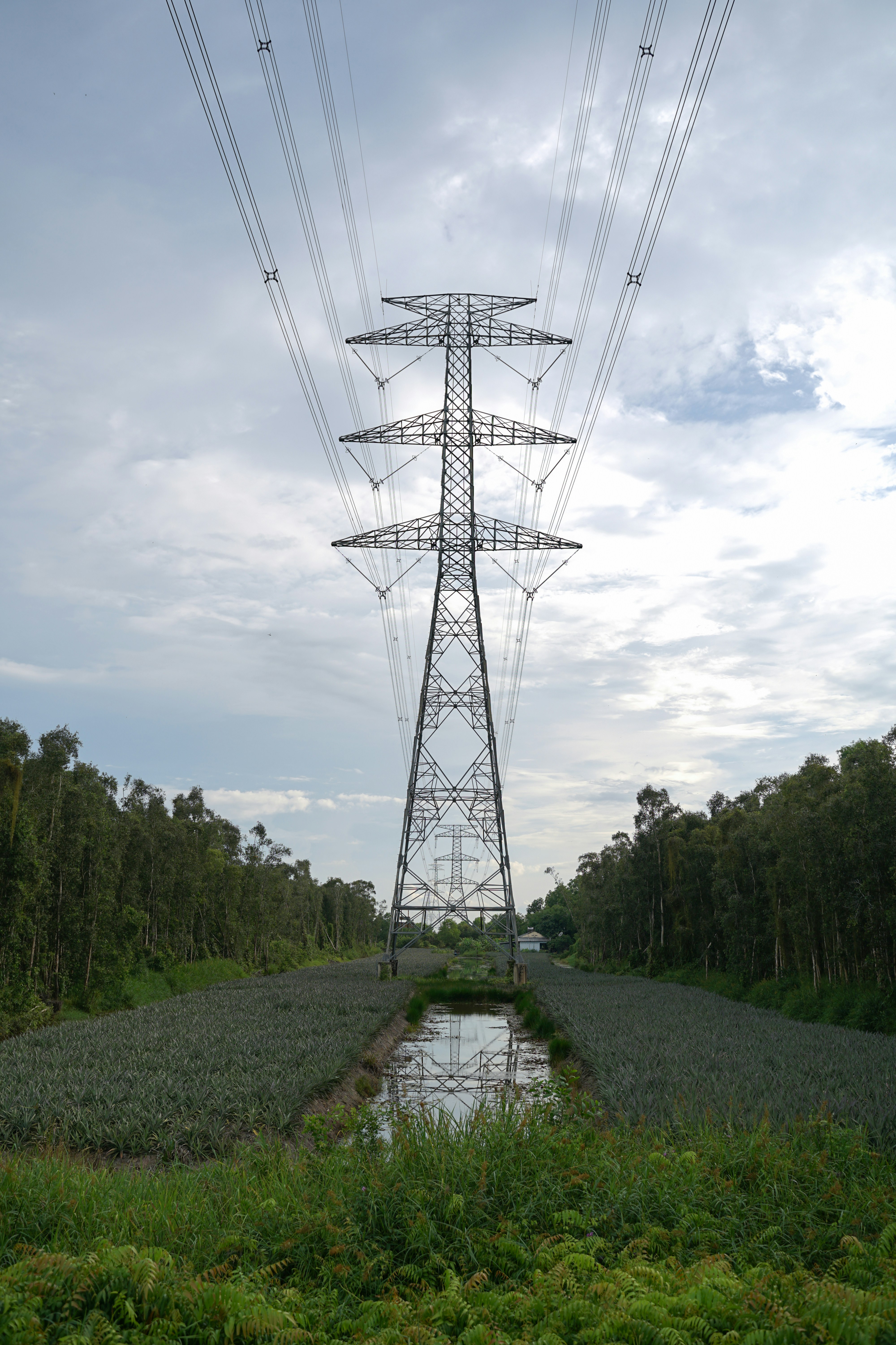 Power Lines Reaching Skyward: A Quiet Corridor to the Horizon