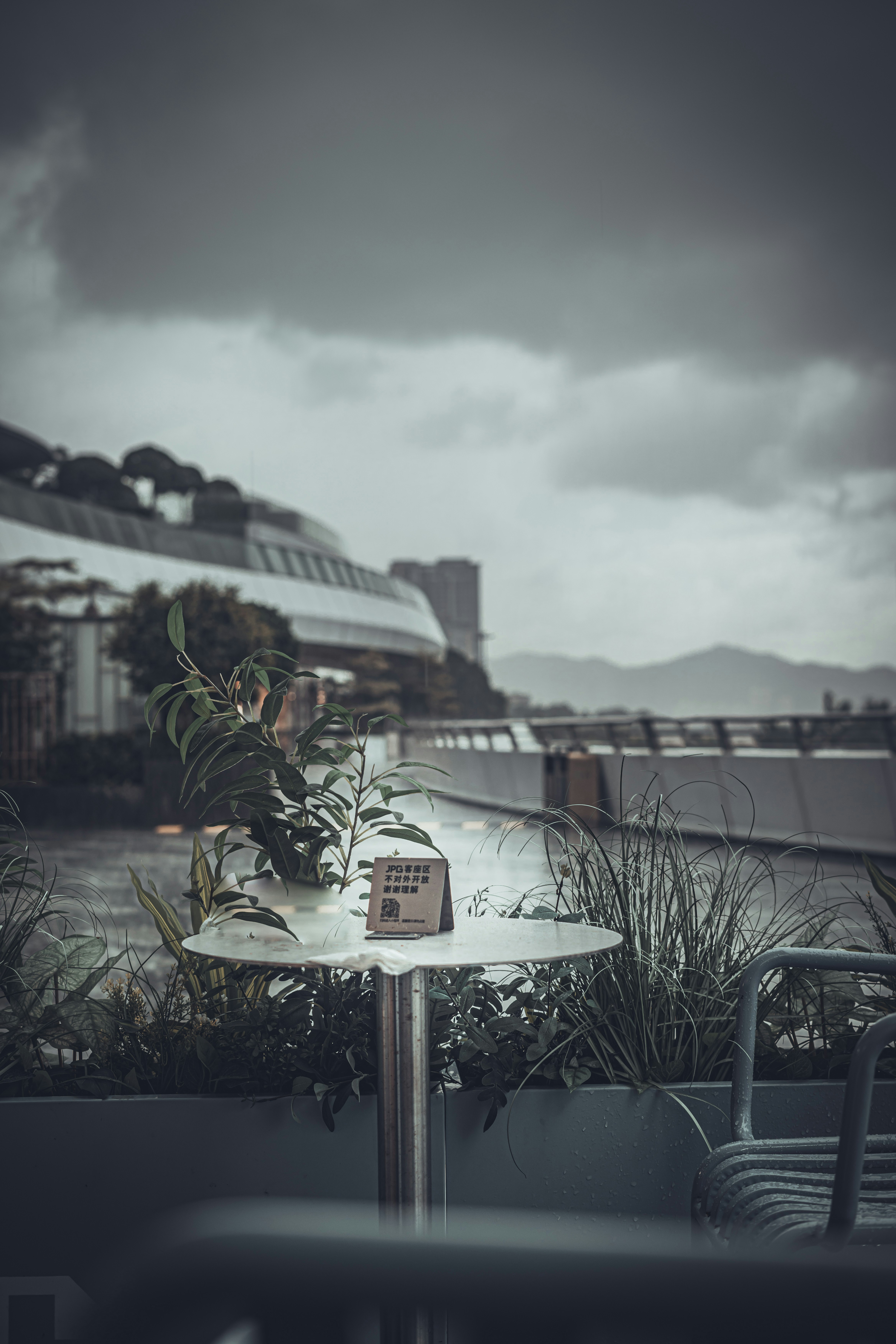 Urban Rooftop Terrace: Quiet Table Amid Plants and Glass Panorama