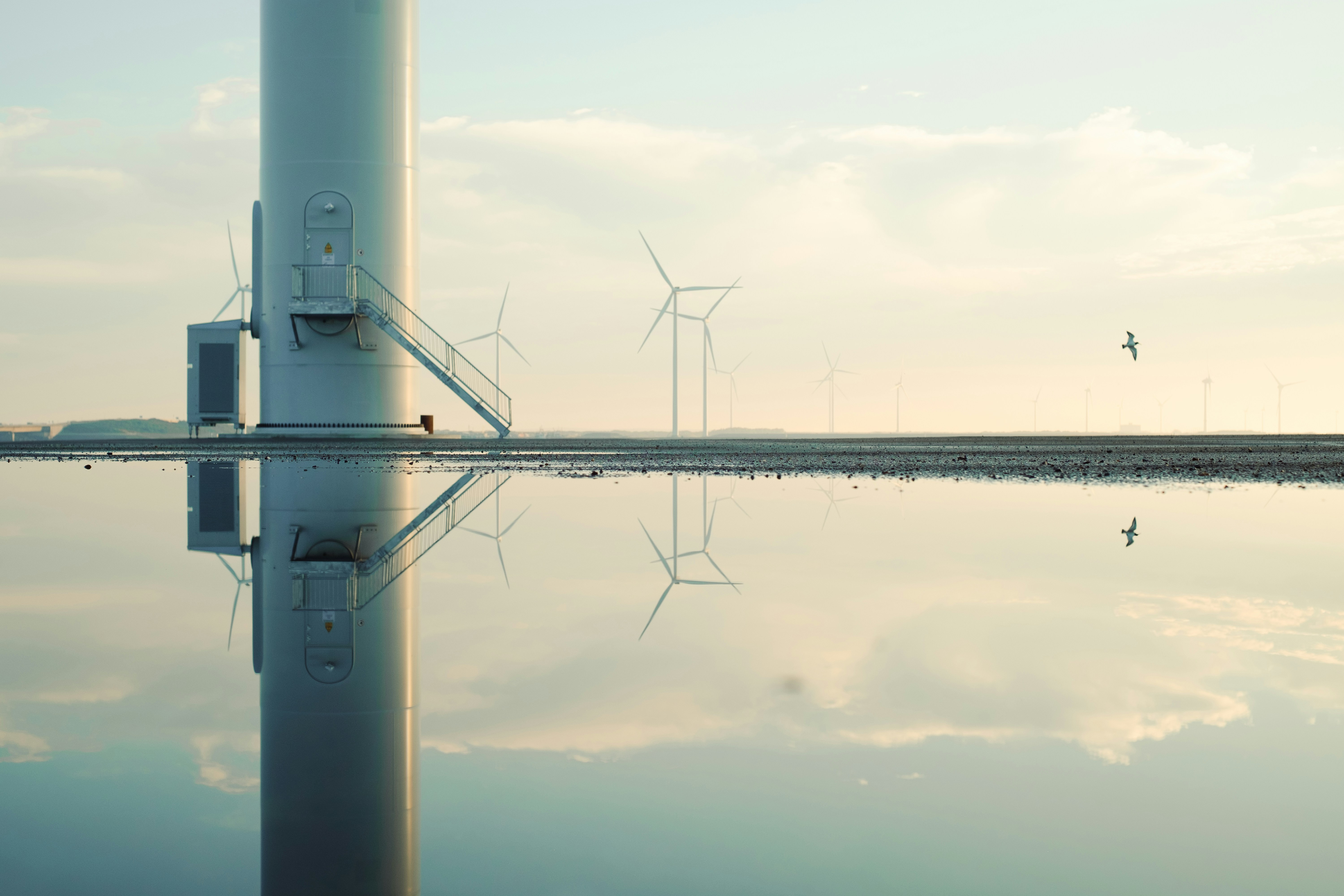 Glass Horizon: Wind Turbines and Their Mirror Image