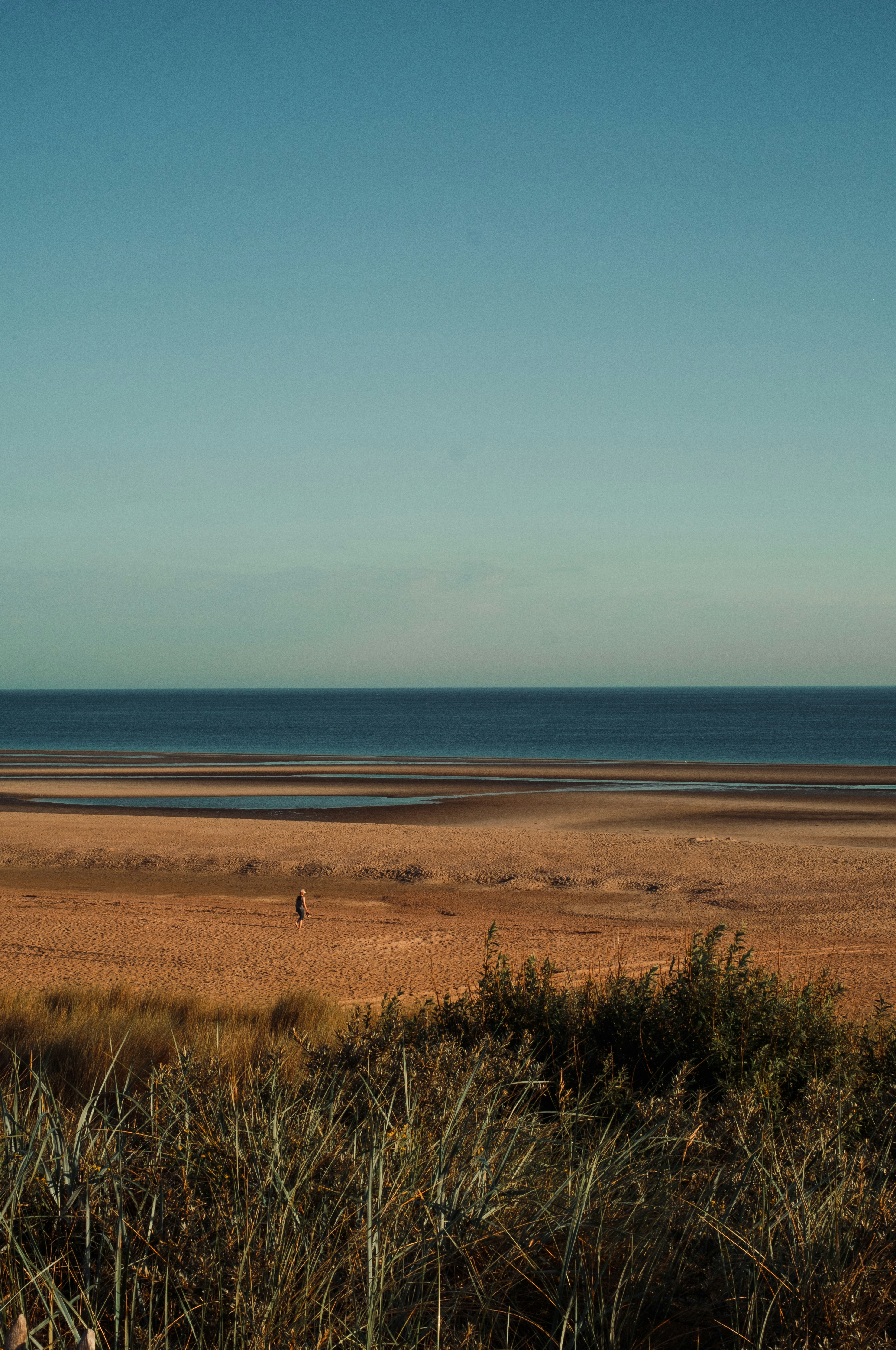 A vast and tranquil coastal landscape featuring a lone figure walking across a wide, sandy beach in Zeeland. Framed by wild dune grass in the foreground, the scene opens up to tidal sandbars, a deep blue sea, and an expansive clear sky, capturing a profound sense of solitude and natural scale.