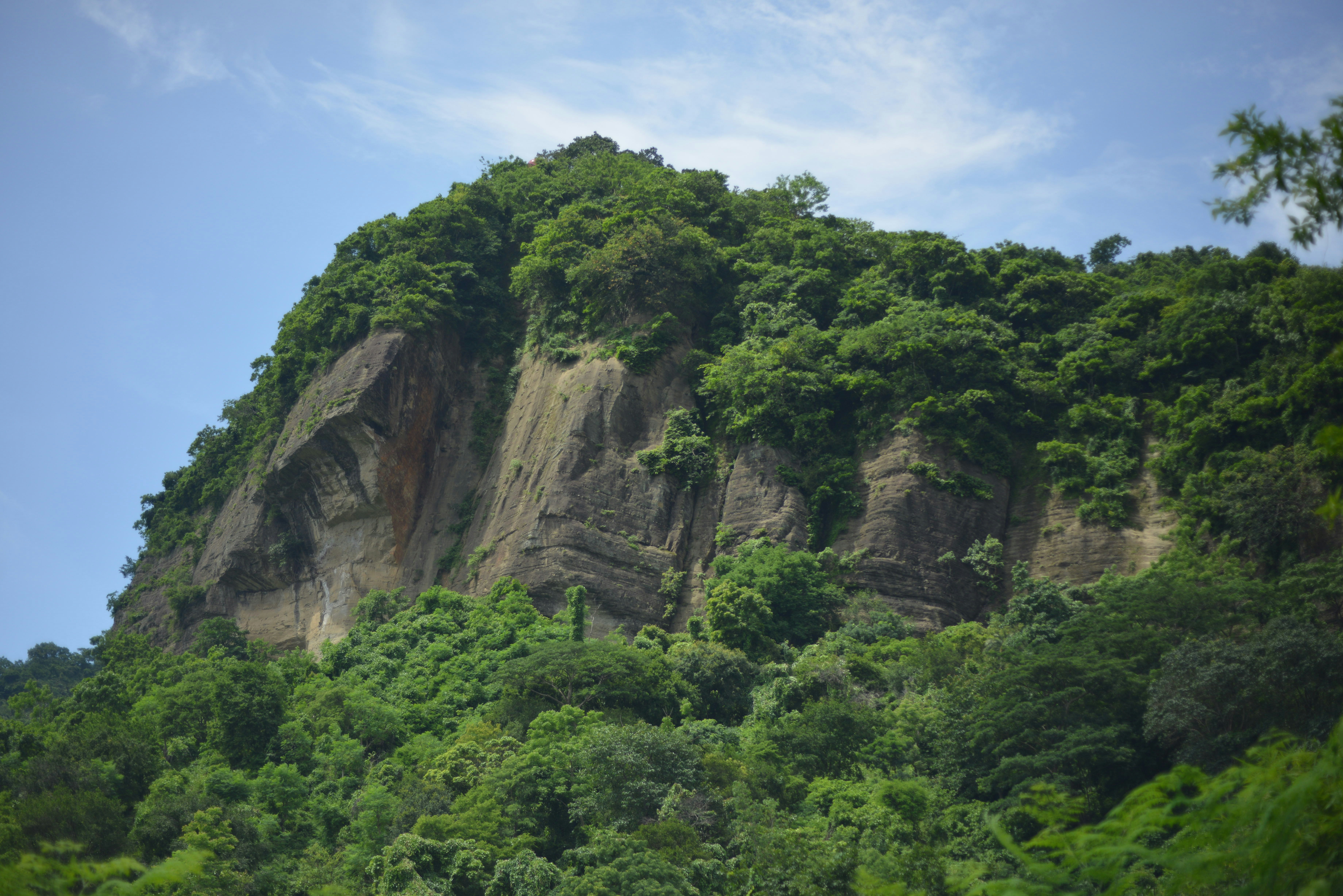 Verdant Cliffside Overlook