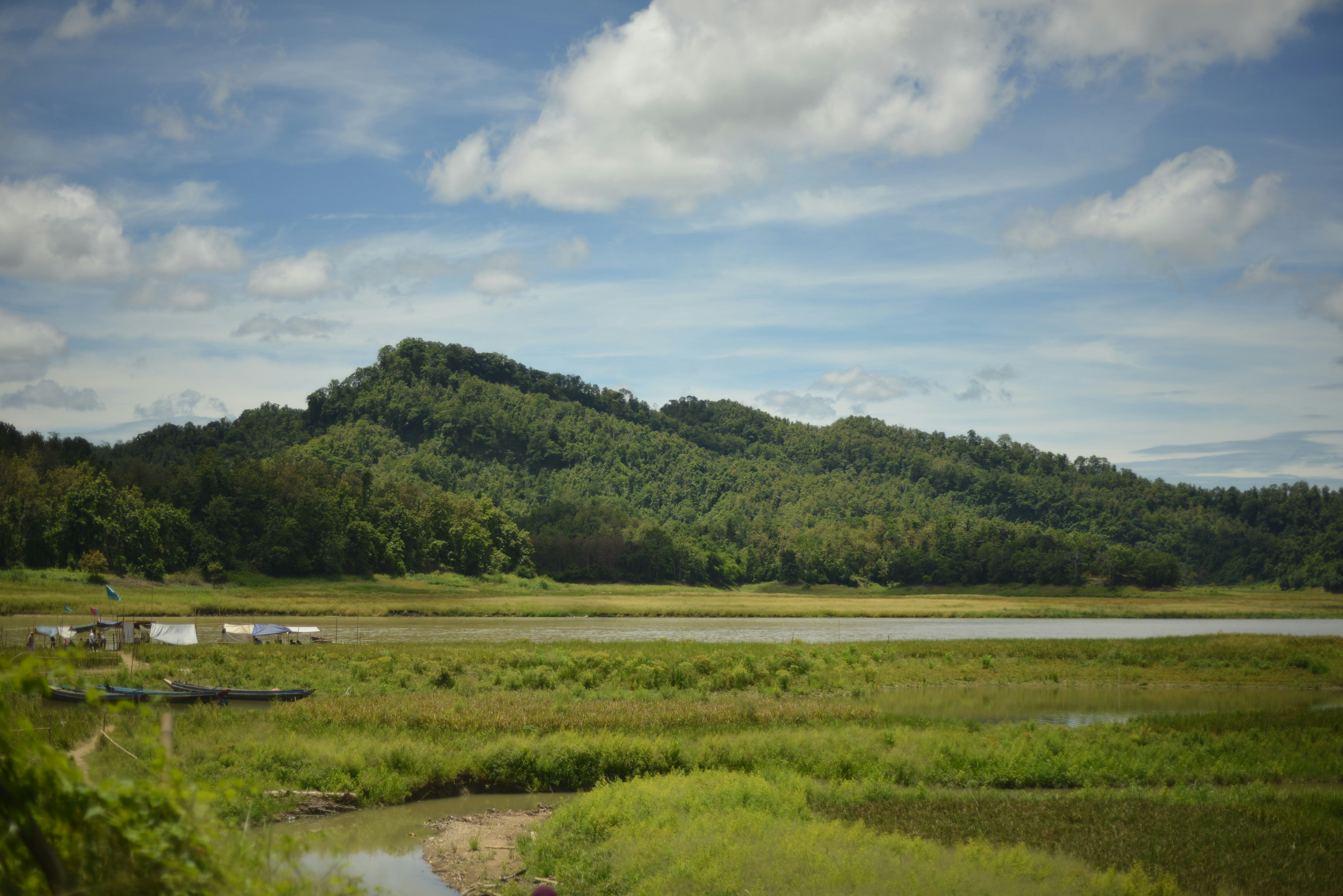 Rolling Hillscape Beneath a Clear Sky
