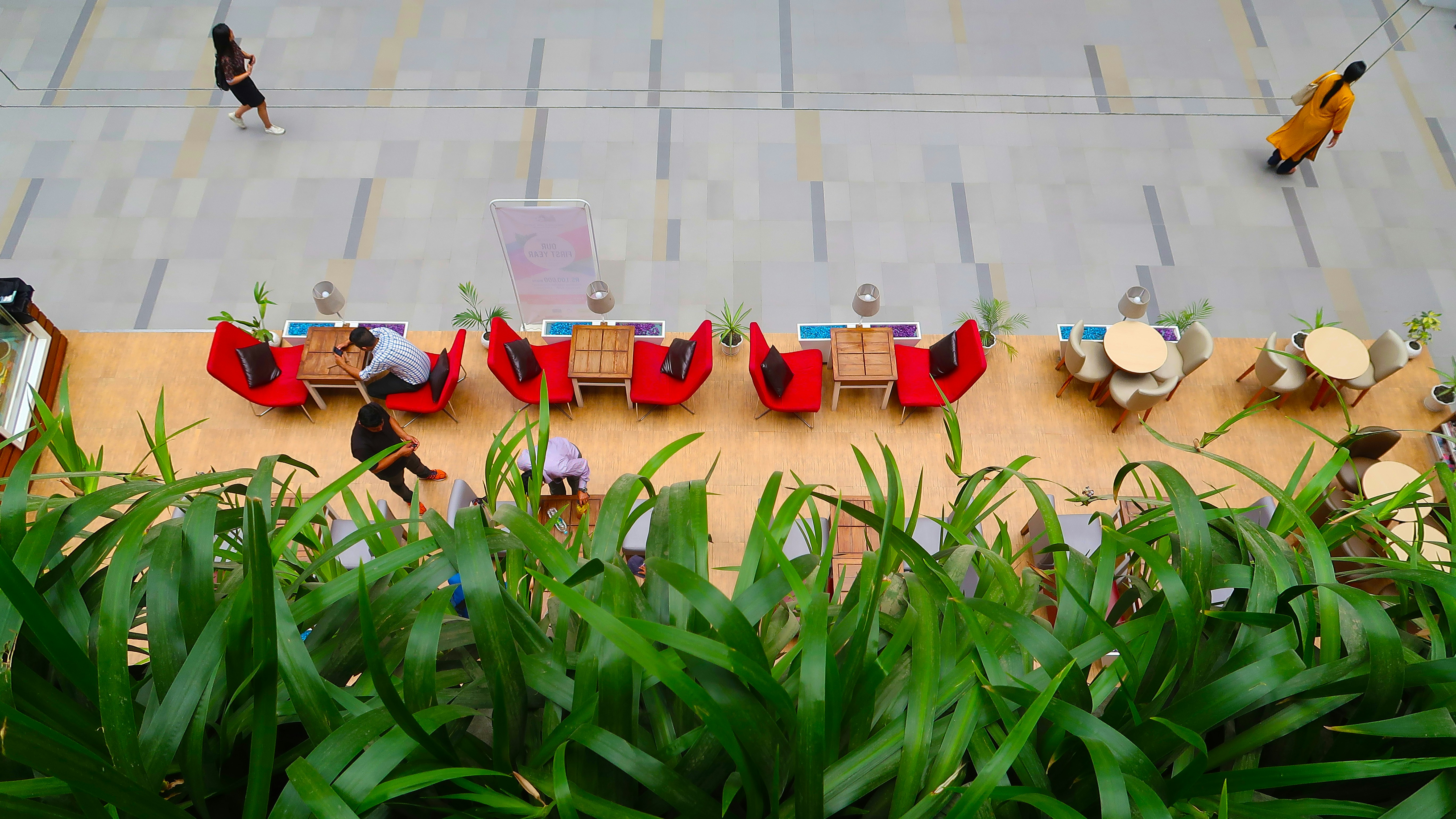 Garden Terrace Stroll: People and Tables Framed by Lush Foreground Foliage