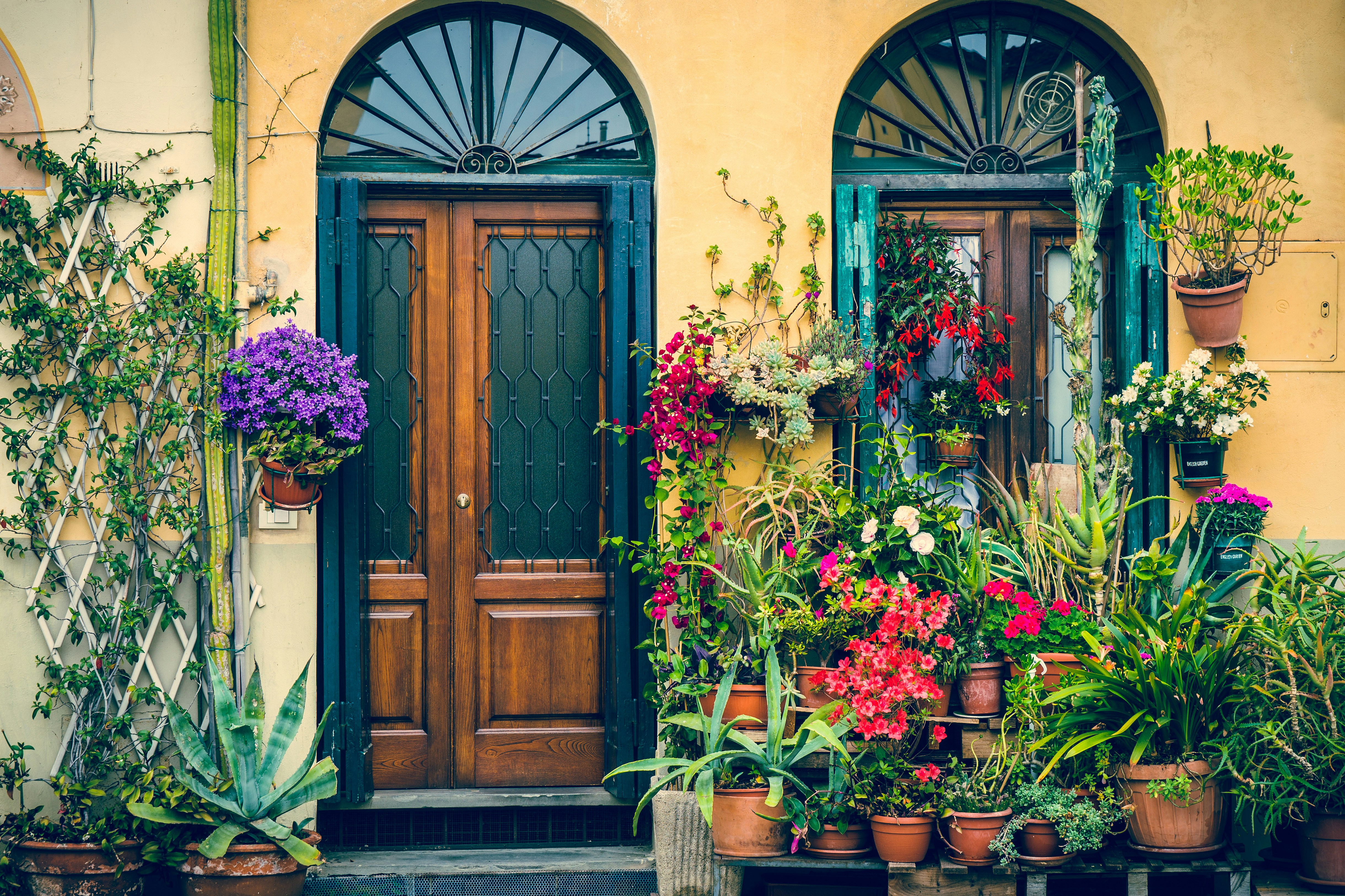 A Doorway Framed by a Burst of Pots and Blossoms