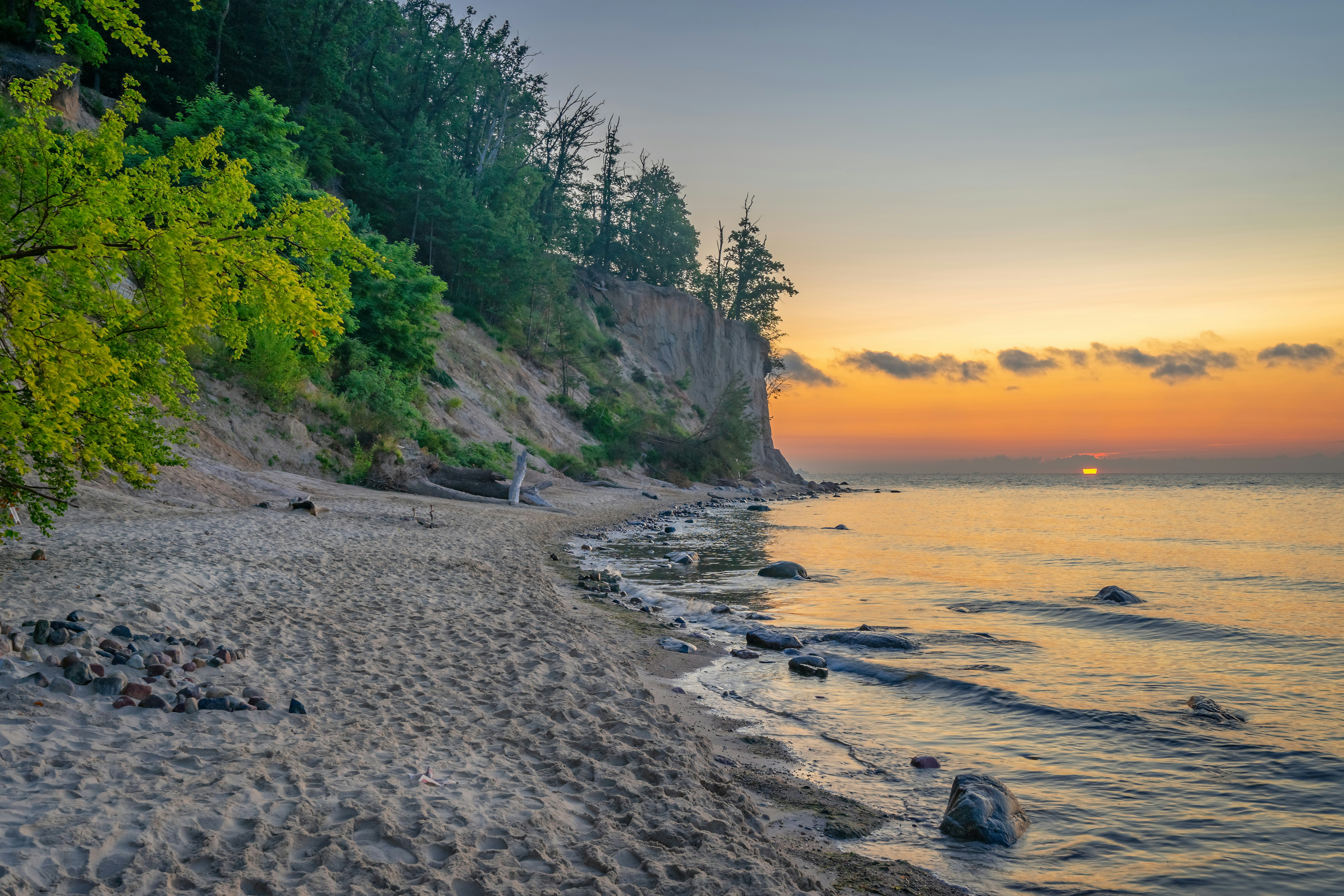 Sunset Edge: Trees, Cliff, and Tidal Shoreline