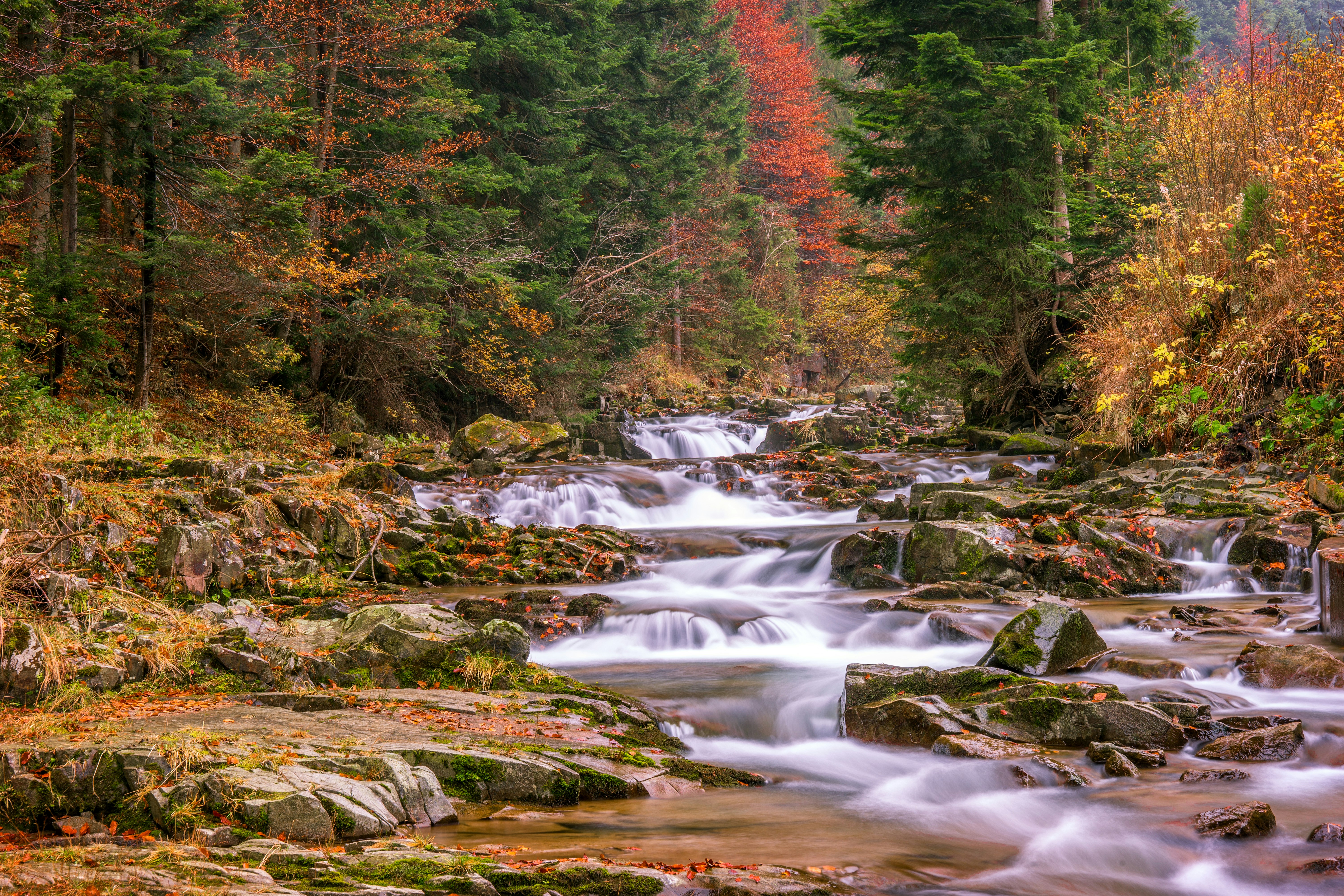 Autumn Cascade: A Quiet River Framing the Fall Colors