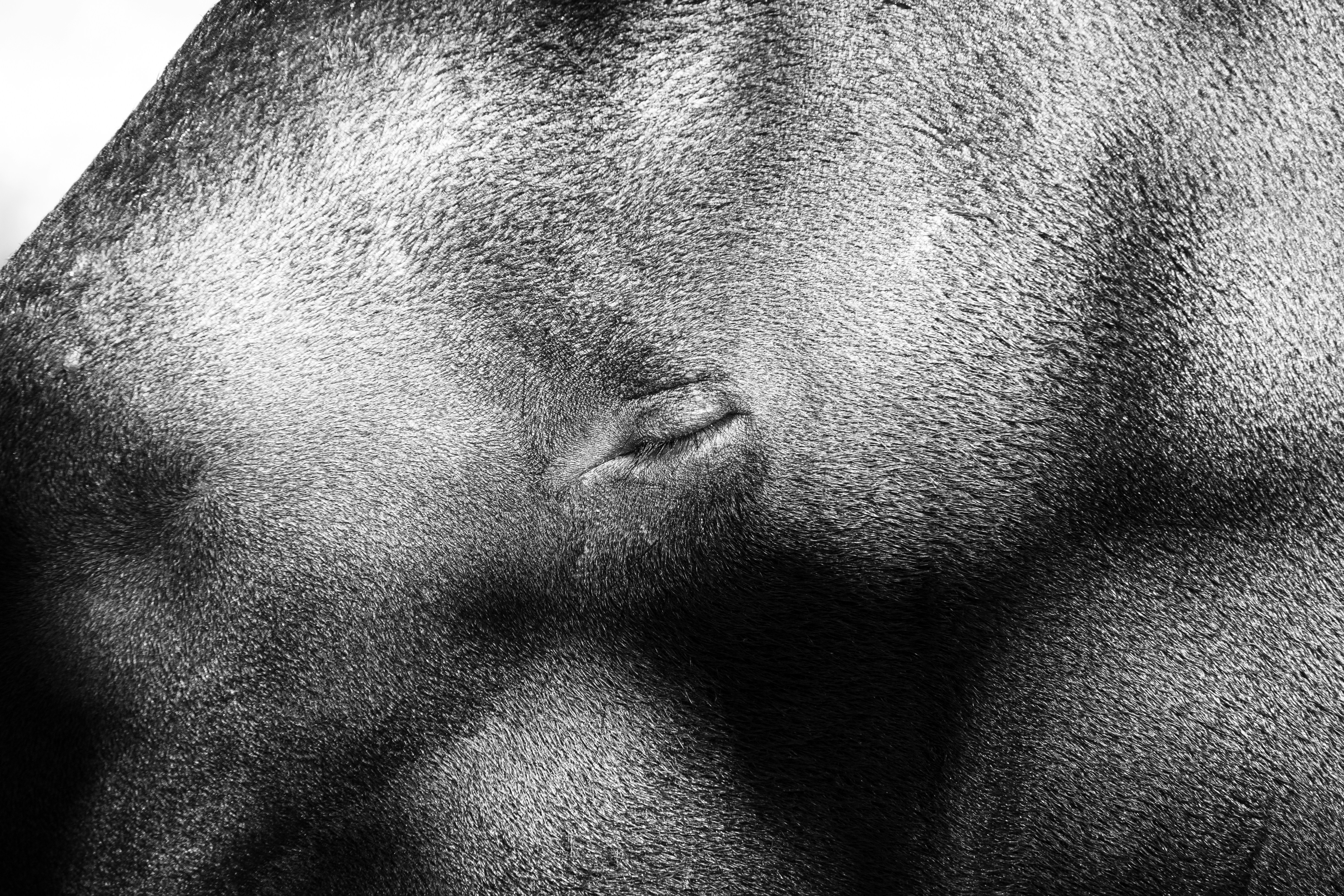 Hidden Kernel: A Glimpse of Texture within the Dark Contours
