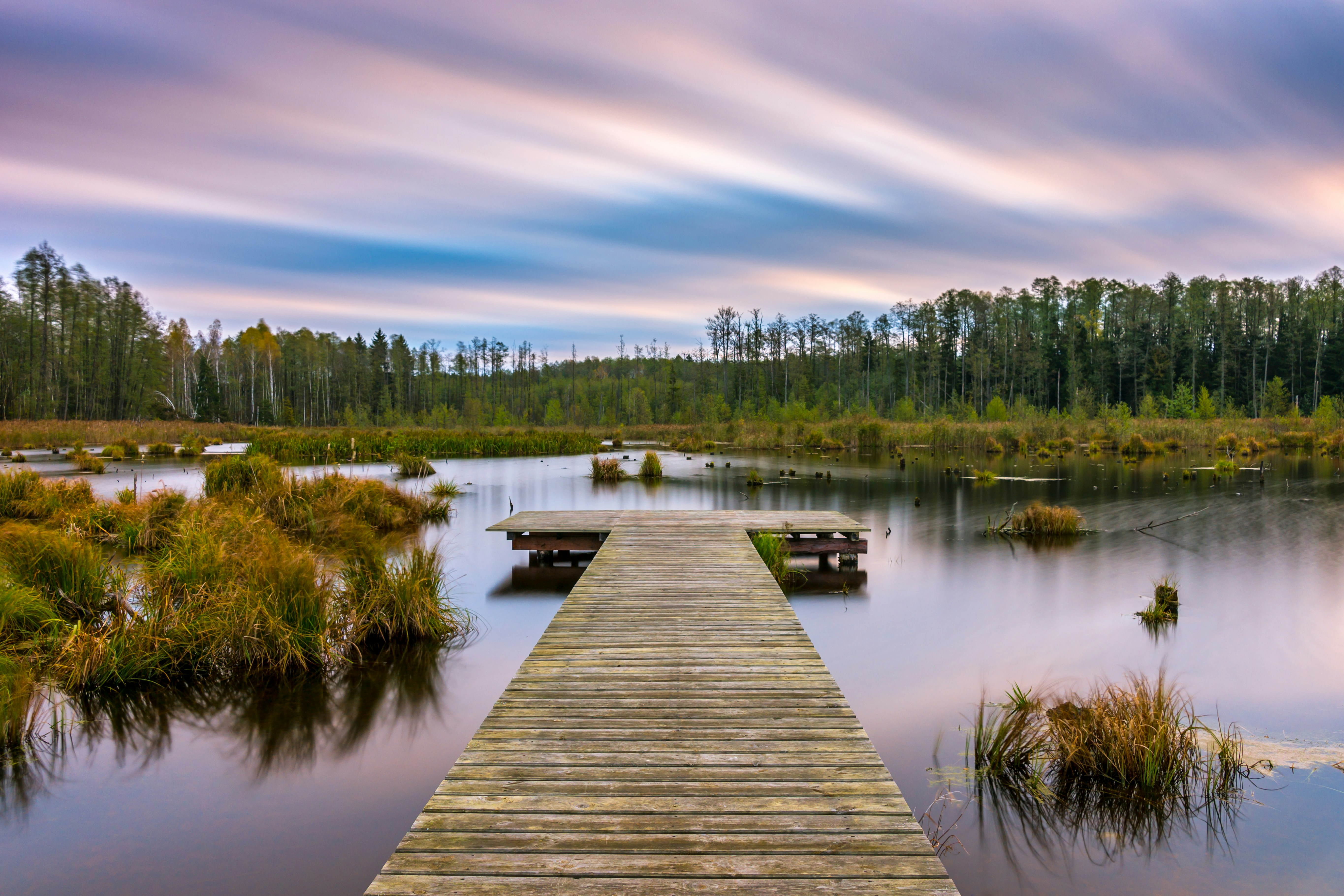 A wooden dock extends into a tranquil wetland with long-exposure clouds above a still, reflective pool and grasses framing the scene.