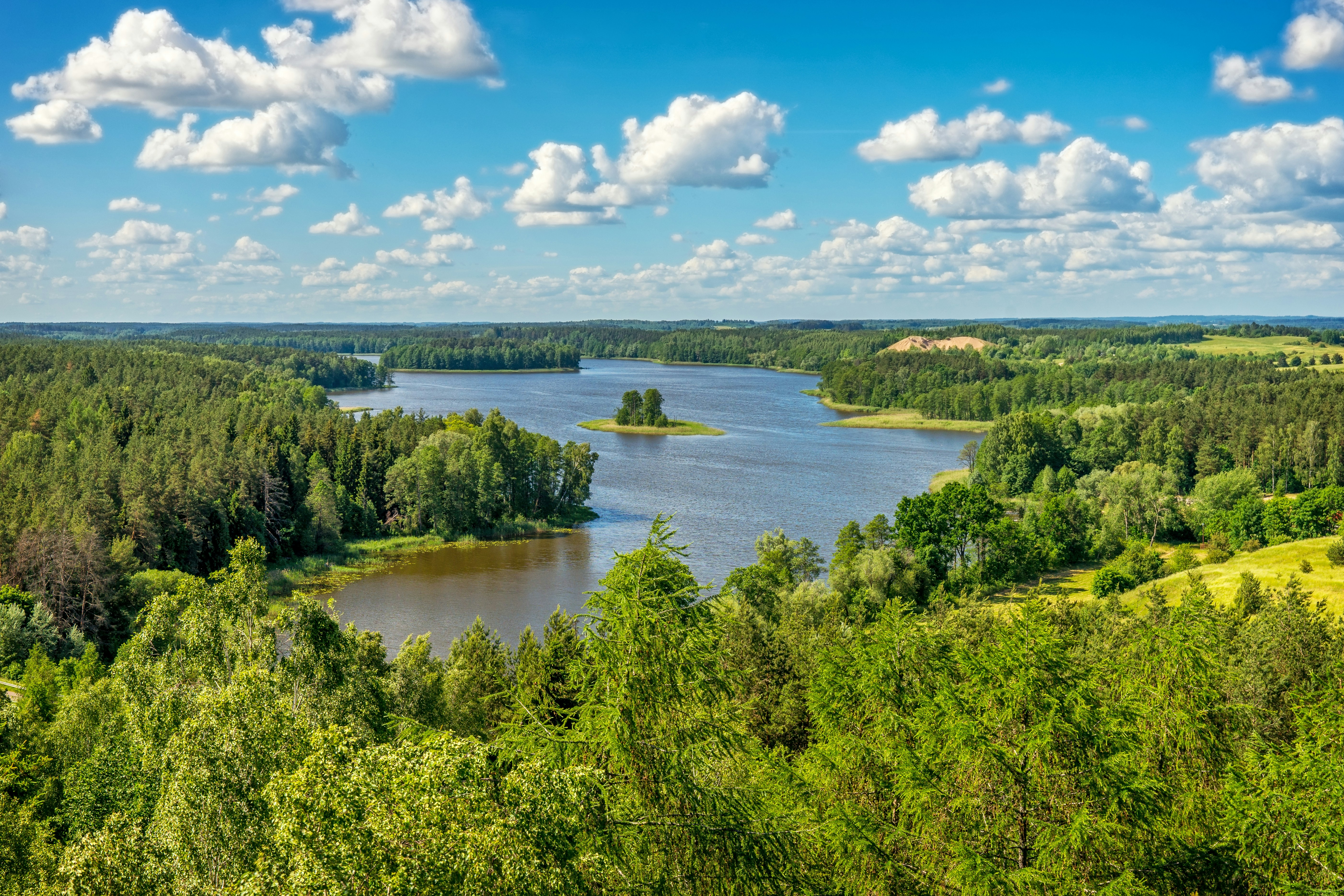 River Valley Where Forest Meets Water Under a Patchwork Sky