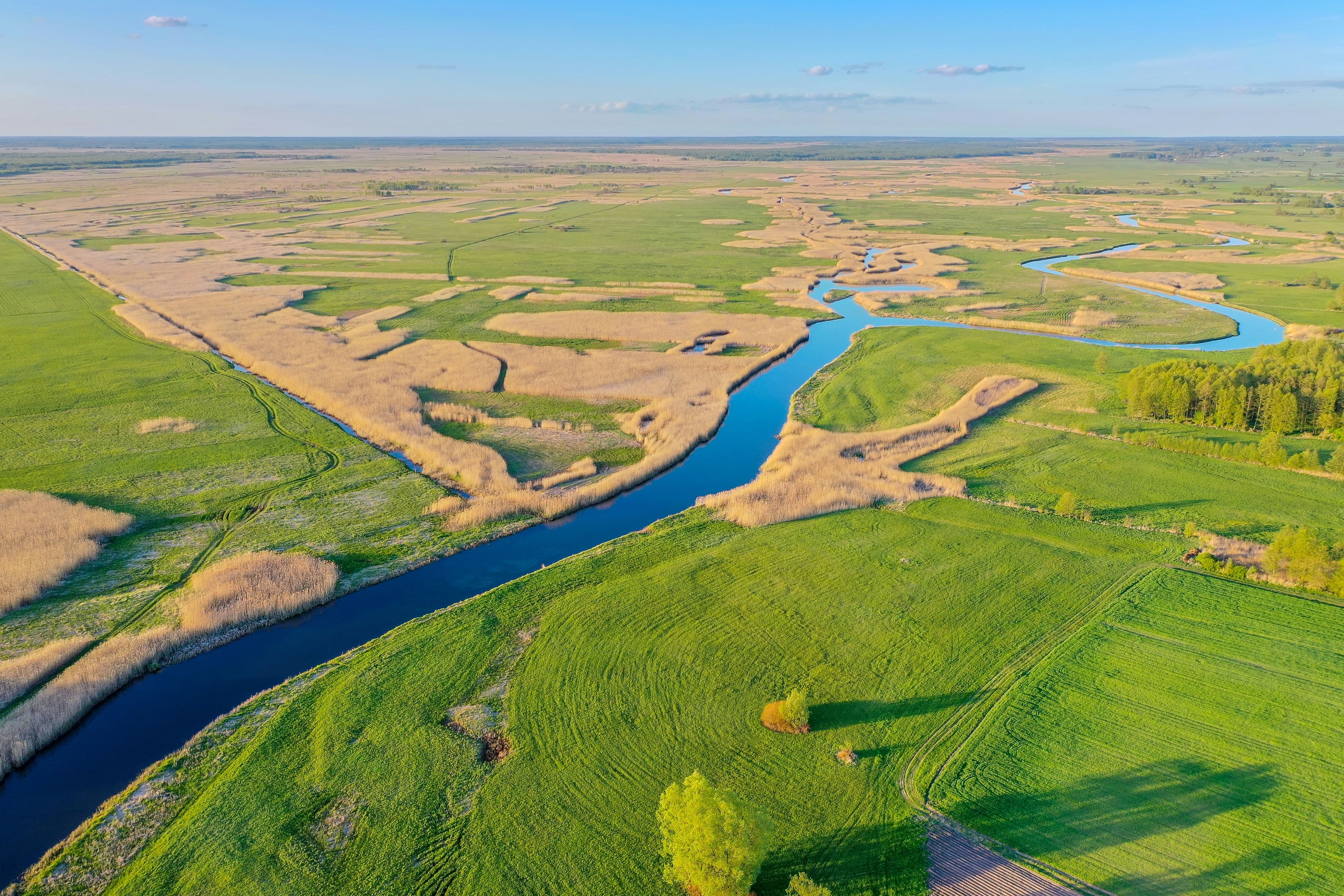 Rivers of Green: A Meandering Delta Under Wide Sky