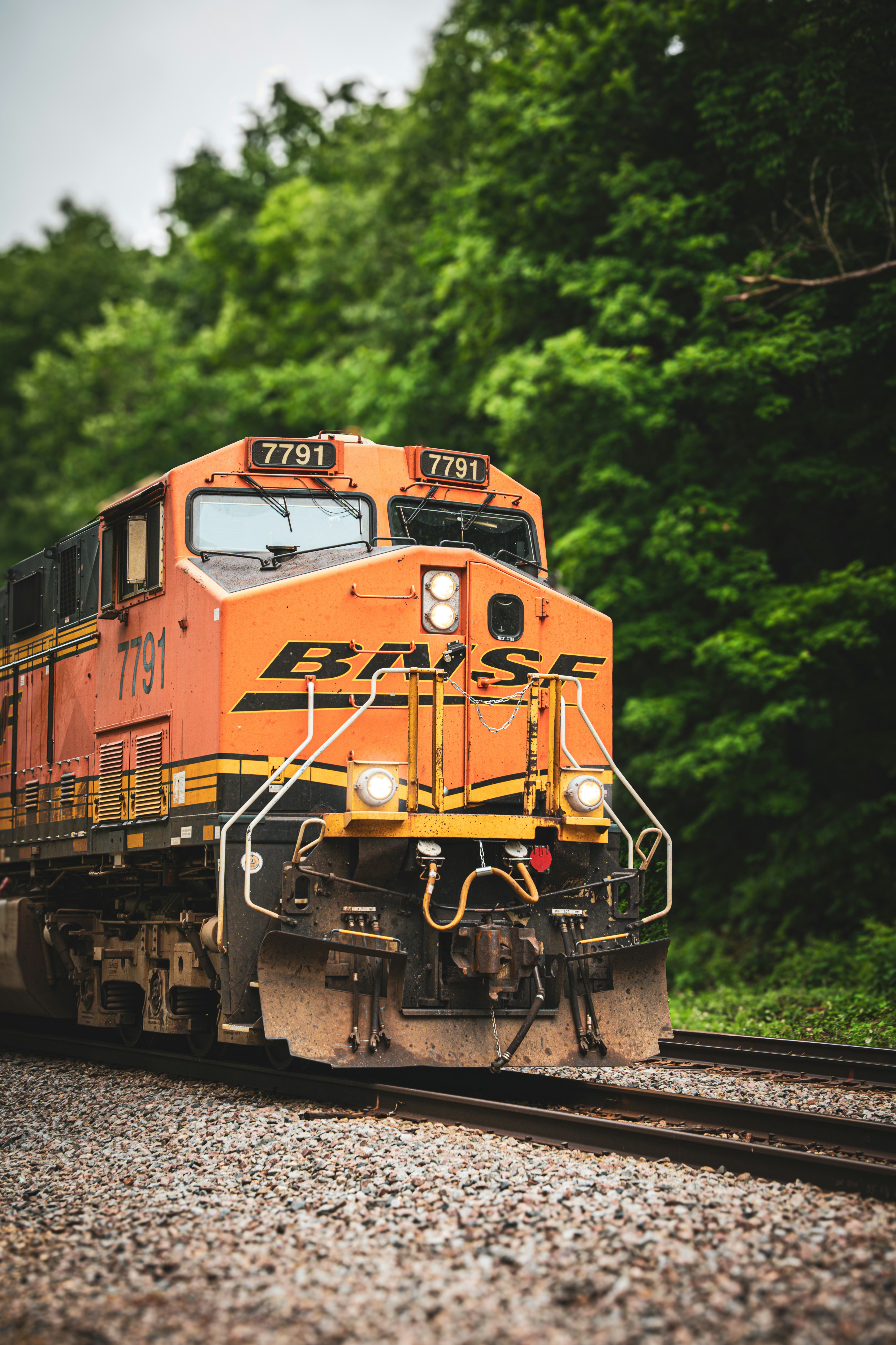 Orange Giant on the Rails: A Freight Engine Surges Through Green Canopy