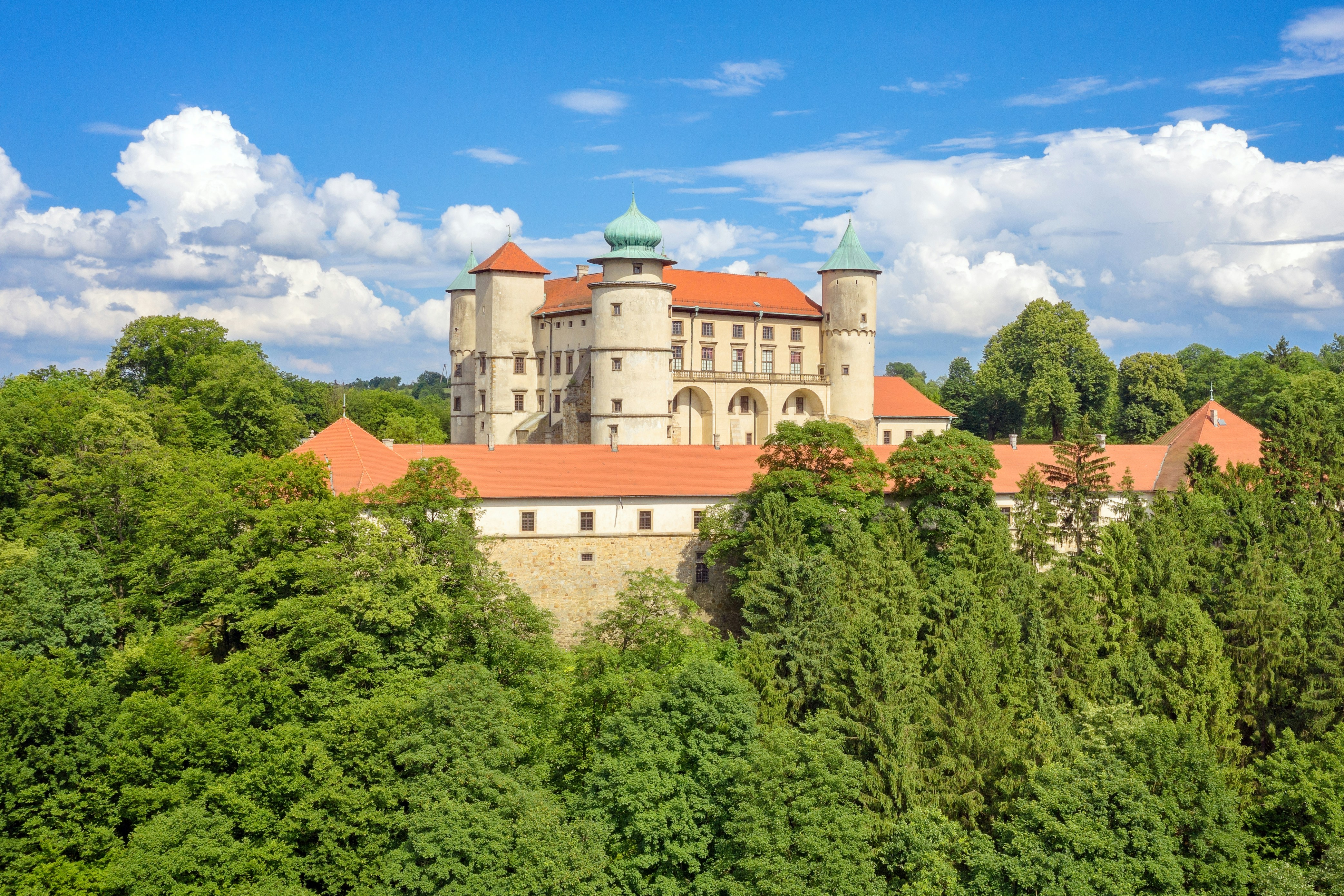 Castle Crest Overlook: A Hilltop Fortress Above the Pines