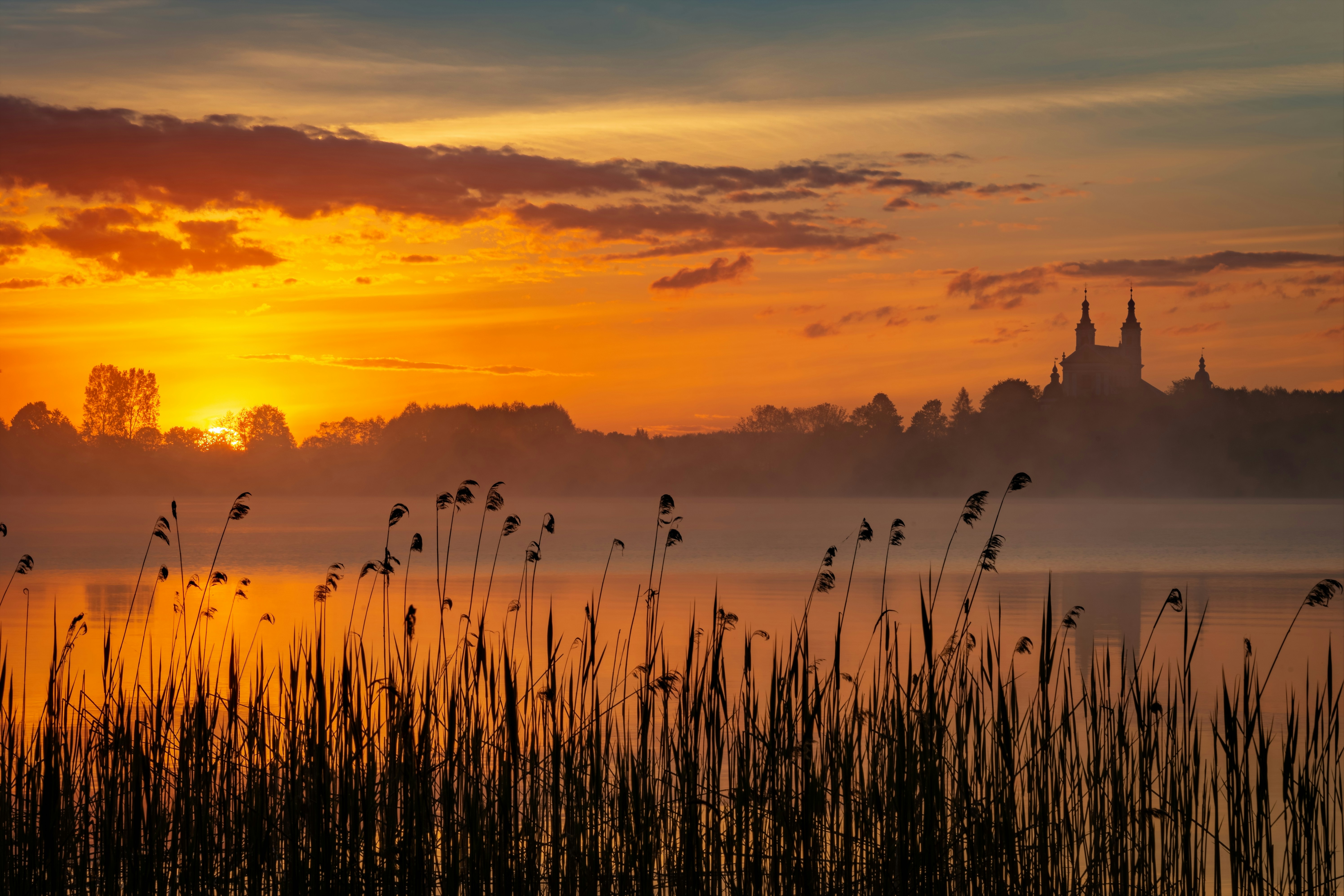Sunset Veil Over Silent Reeds and a Distant Cathedral