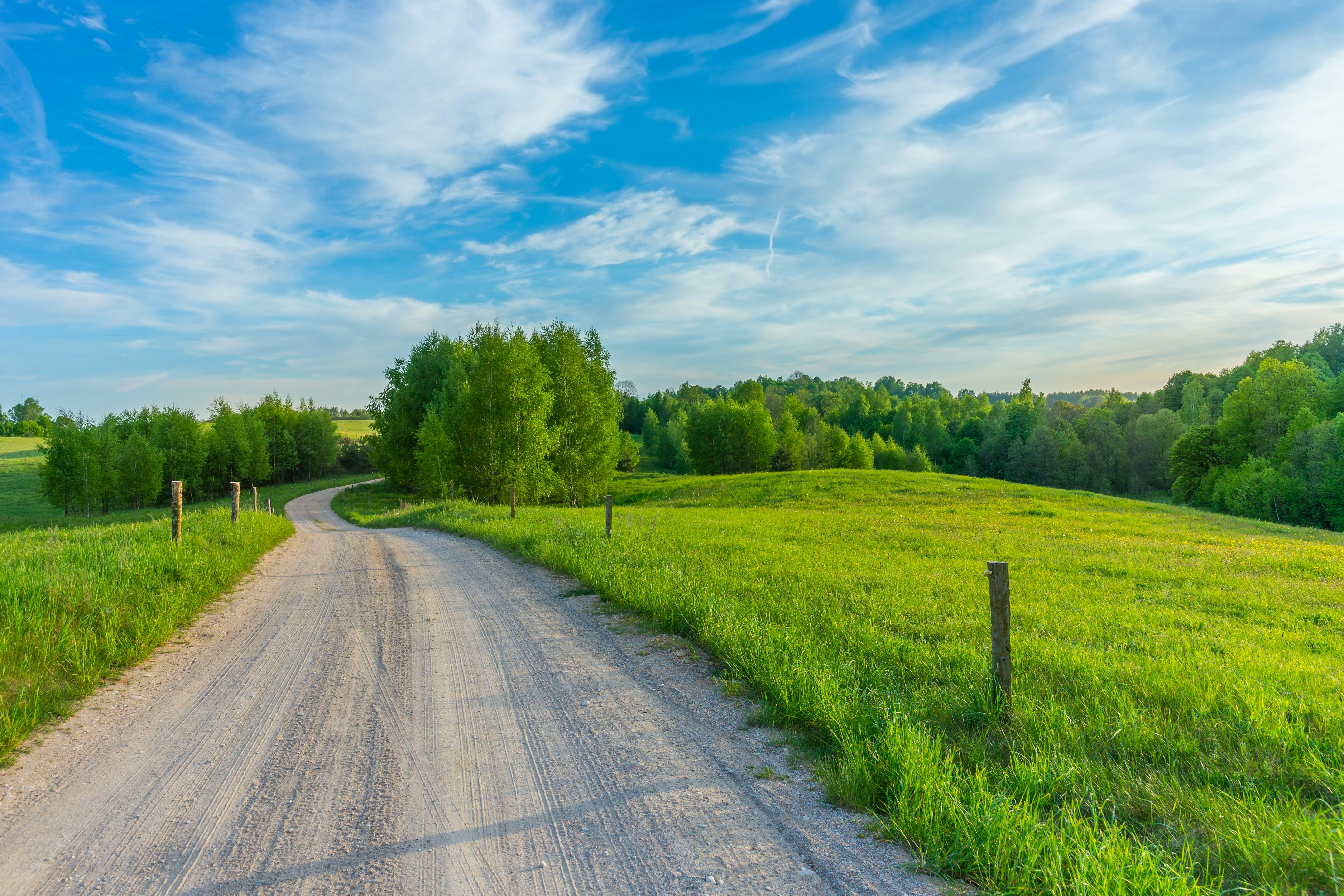 Countryside Path Surrounded by Green Pasture under a Vast Sky