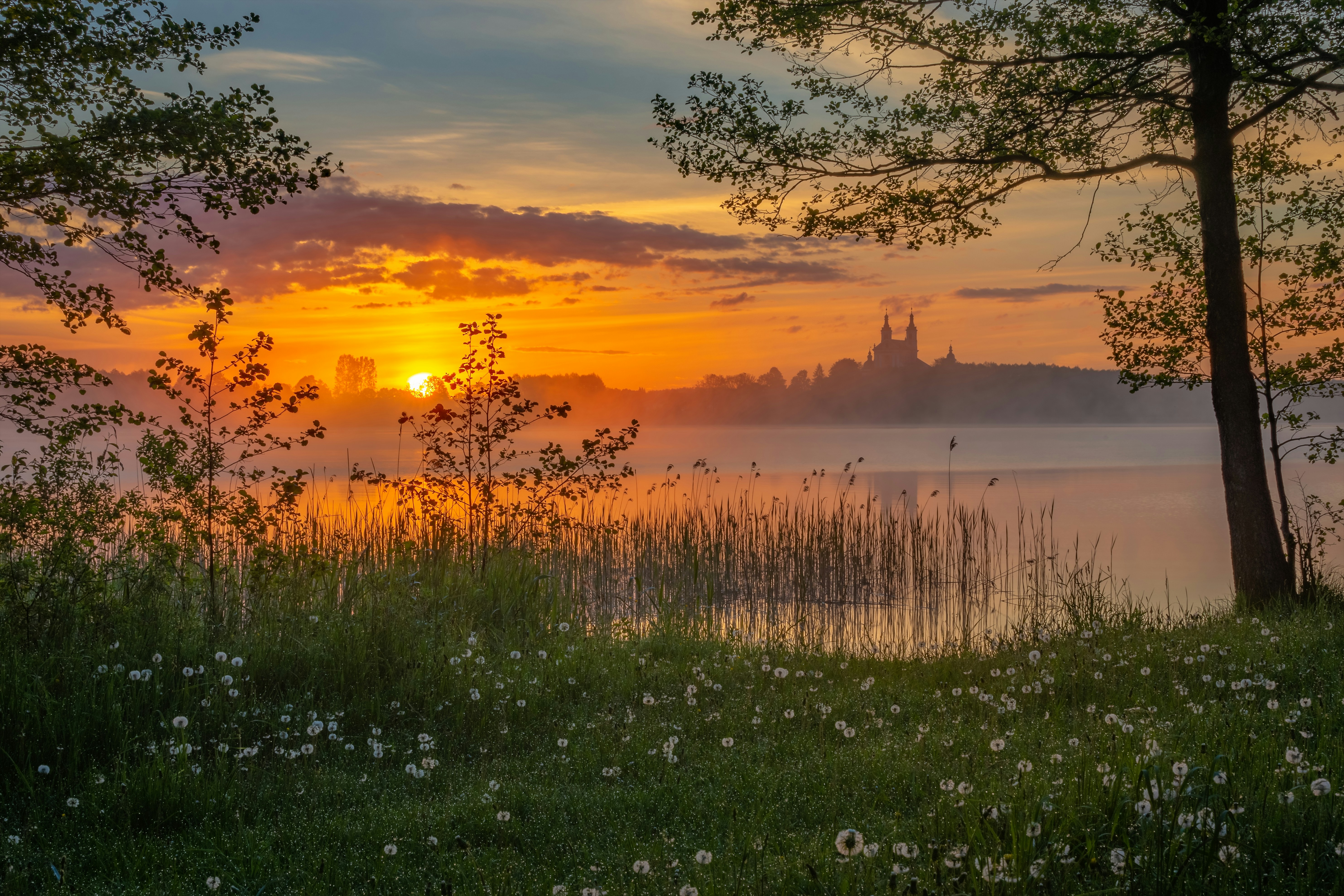 Sunlit Haze over the Quiet Estuary: Dawn by the Meadow