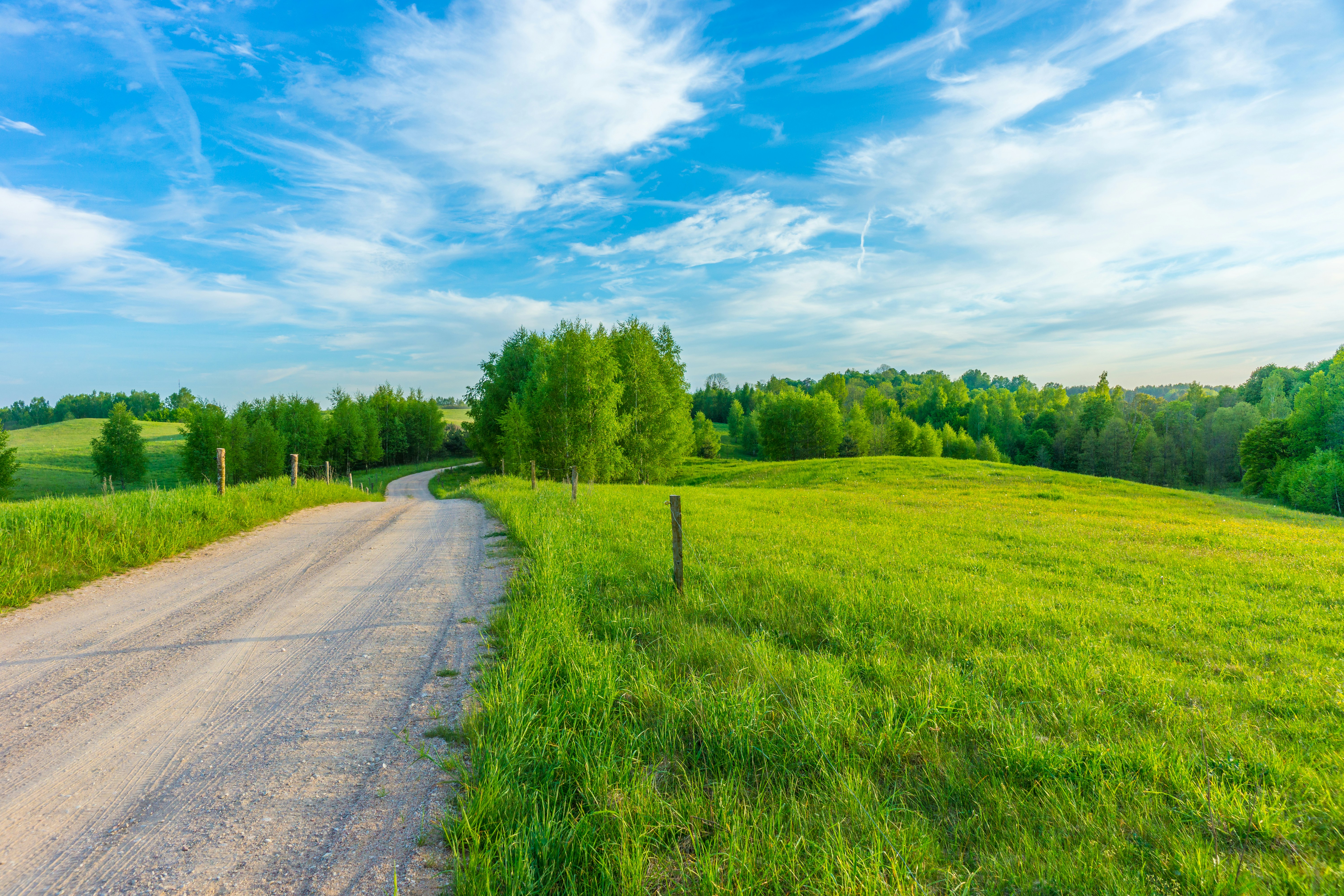 Sunlit Road Through the Green Meadow