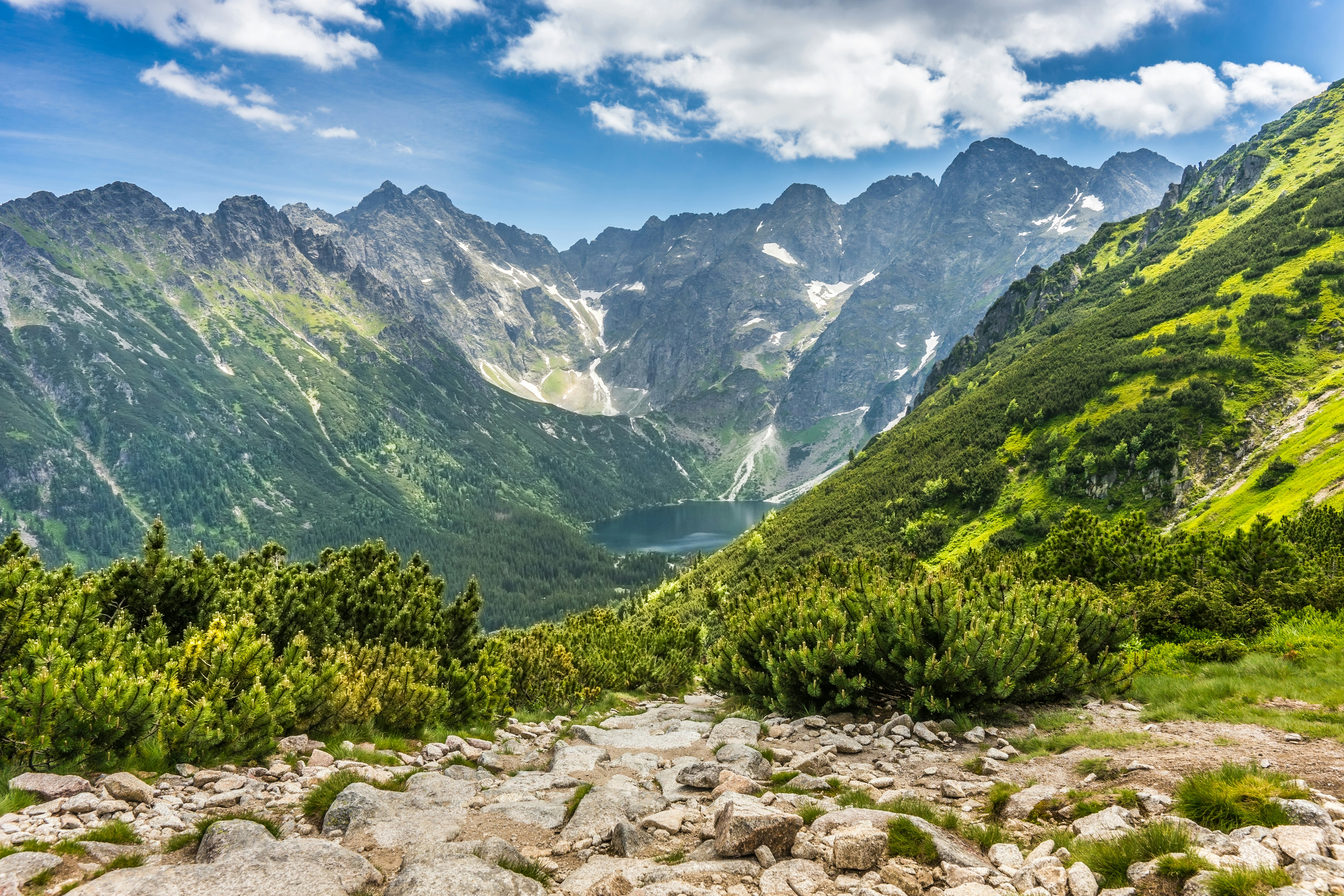 High Alpine Basin: A Path Toward the Looming Peaks