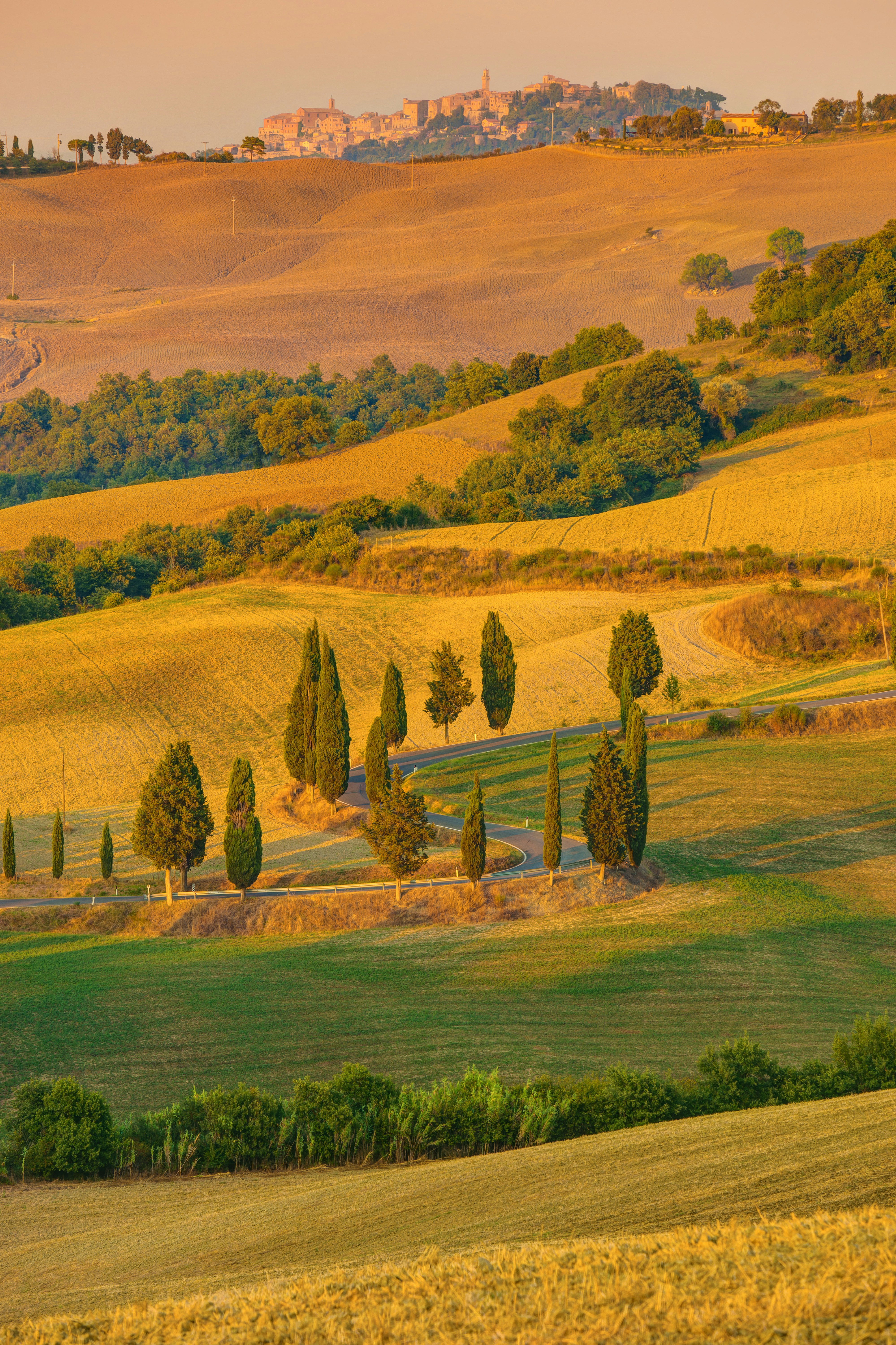 Golden Hillside Serpentine Drive Through Lazio