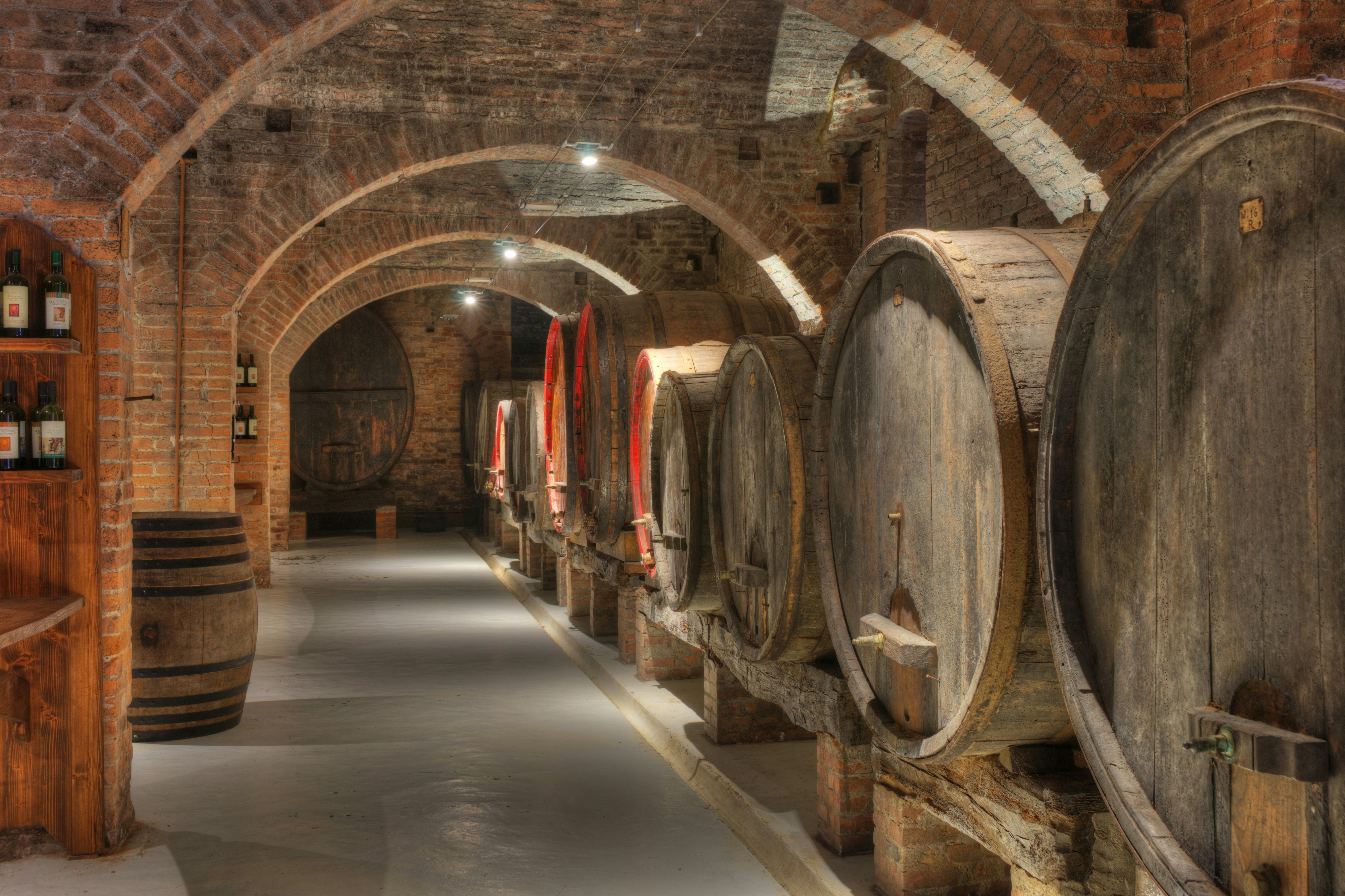 Wine Cellar Arches: Rows of Casks under Brick Vaults