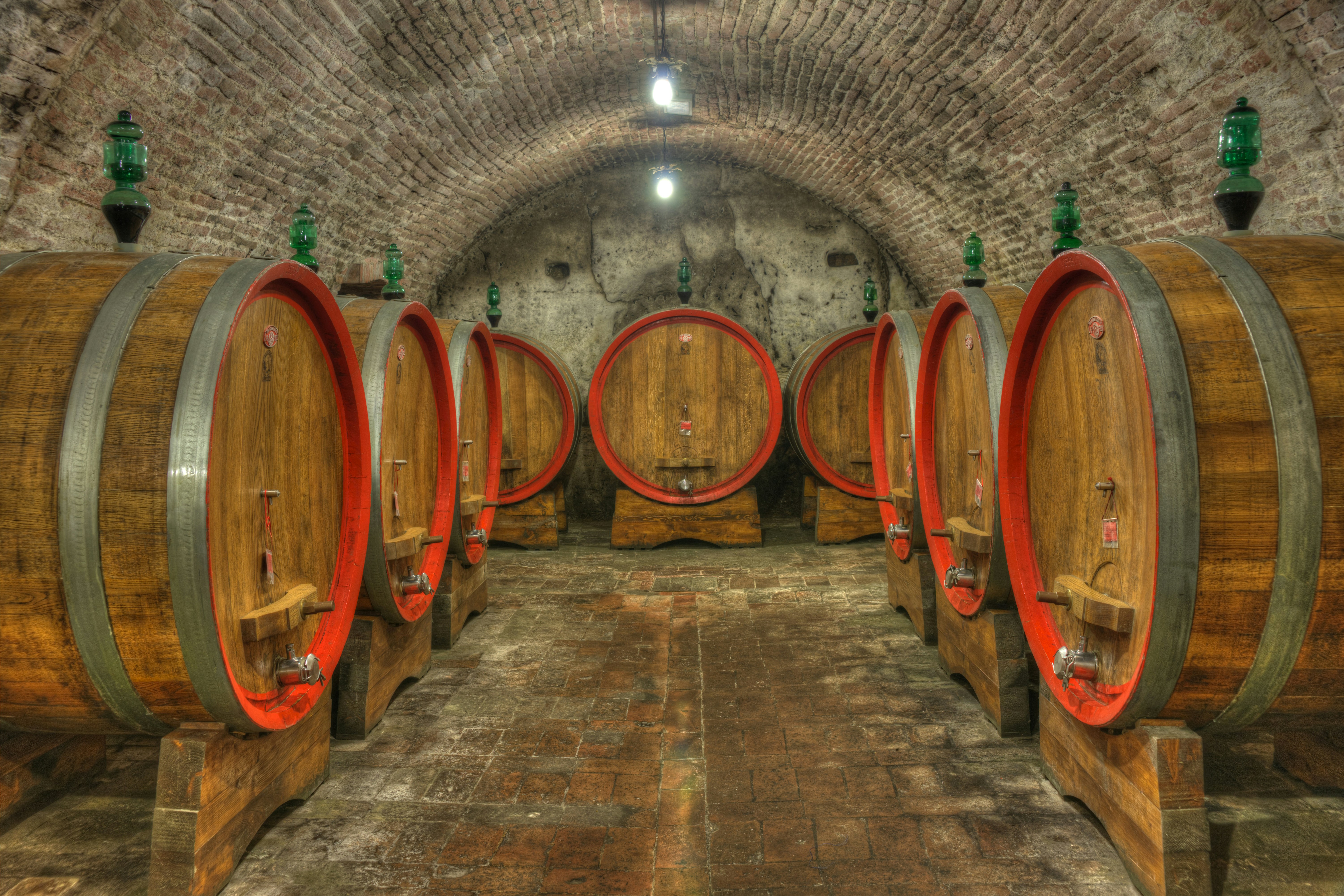 Symmetry in Stave: A Barrel Hall under Arched Brick vaults