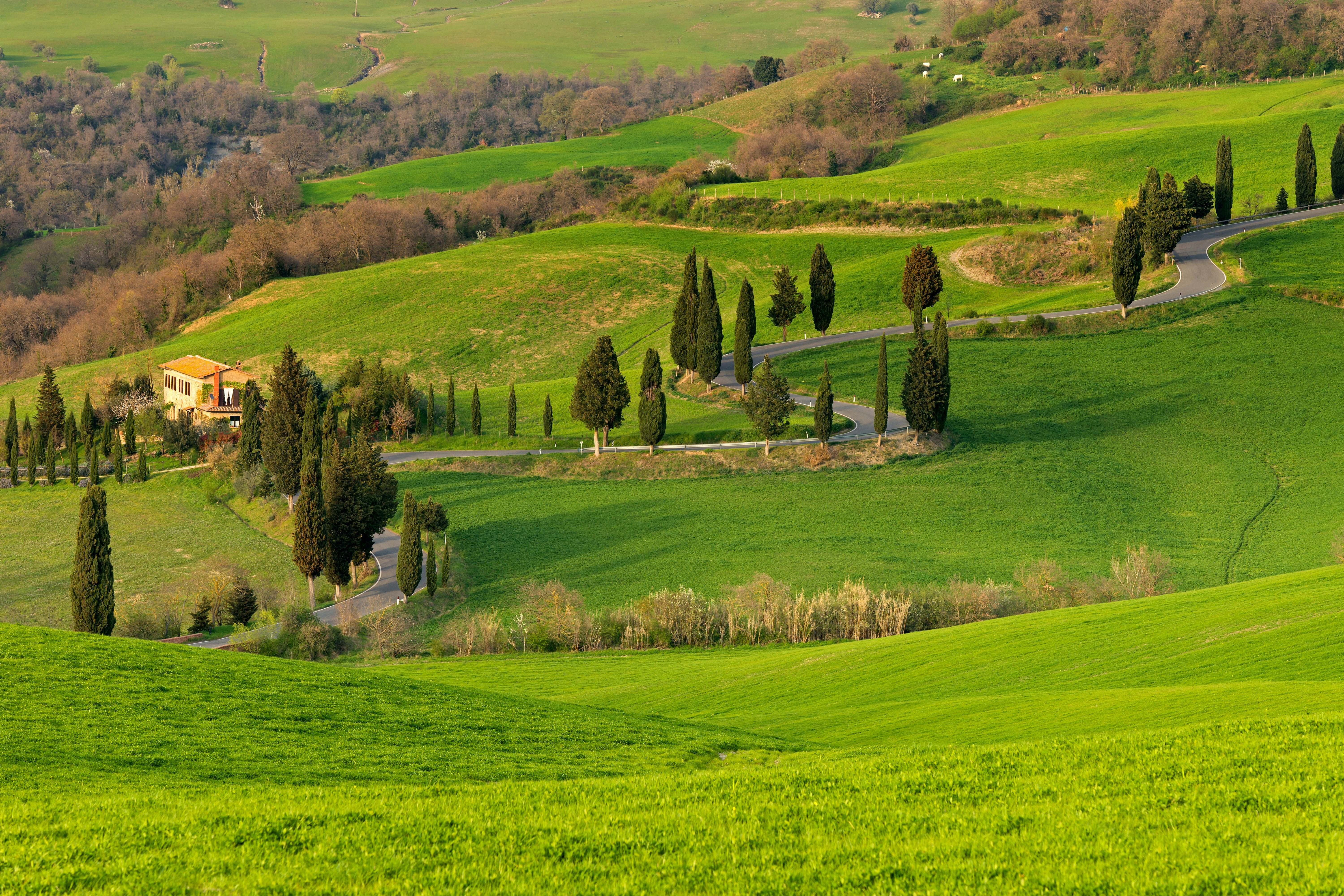 Tuscany photo shot on Sony Alpha A99