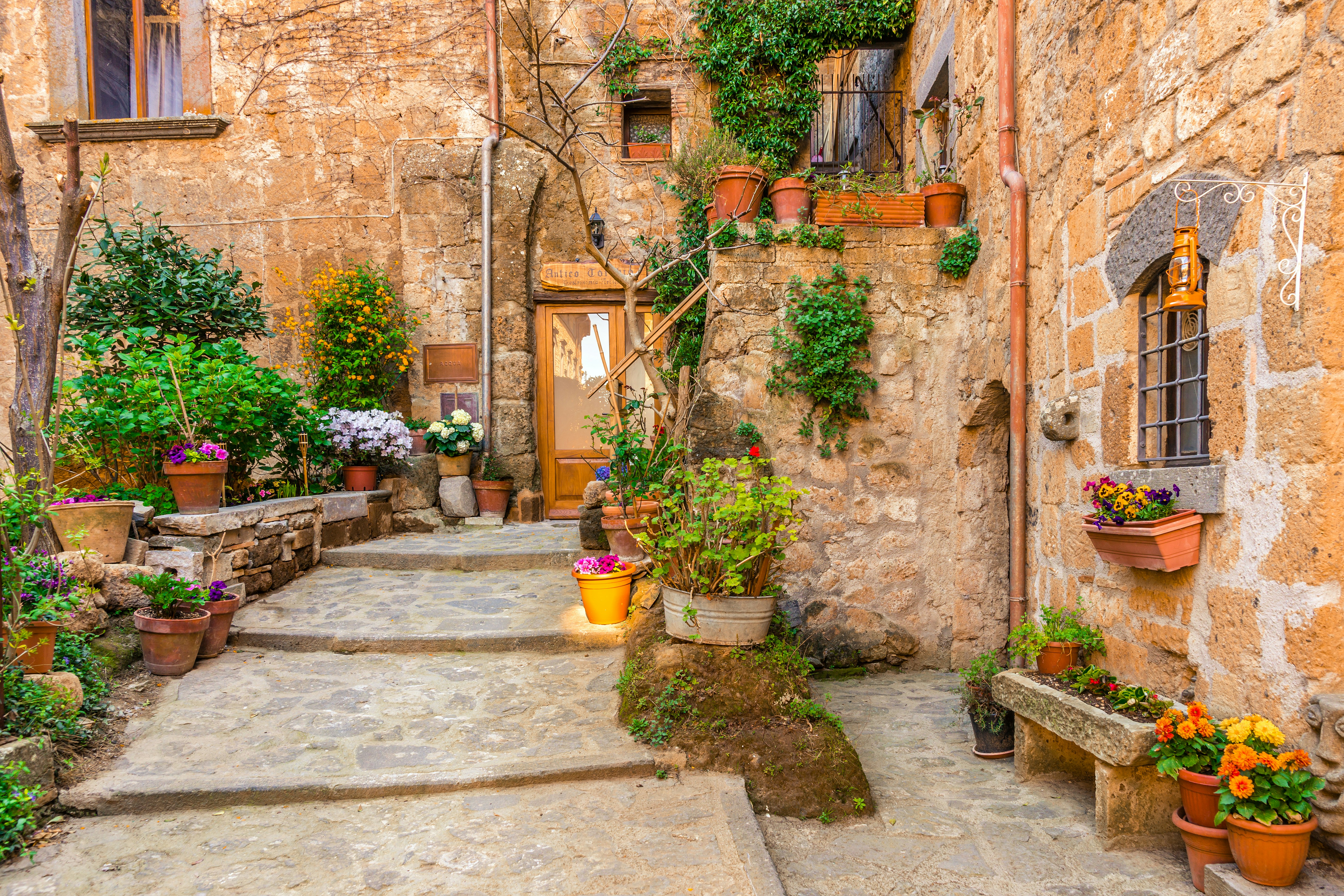 Sunlit courtyard of terracotta blooms and ivy-strewn stone