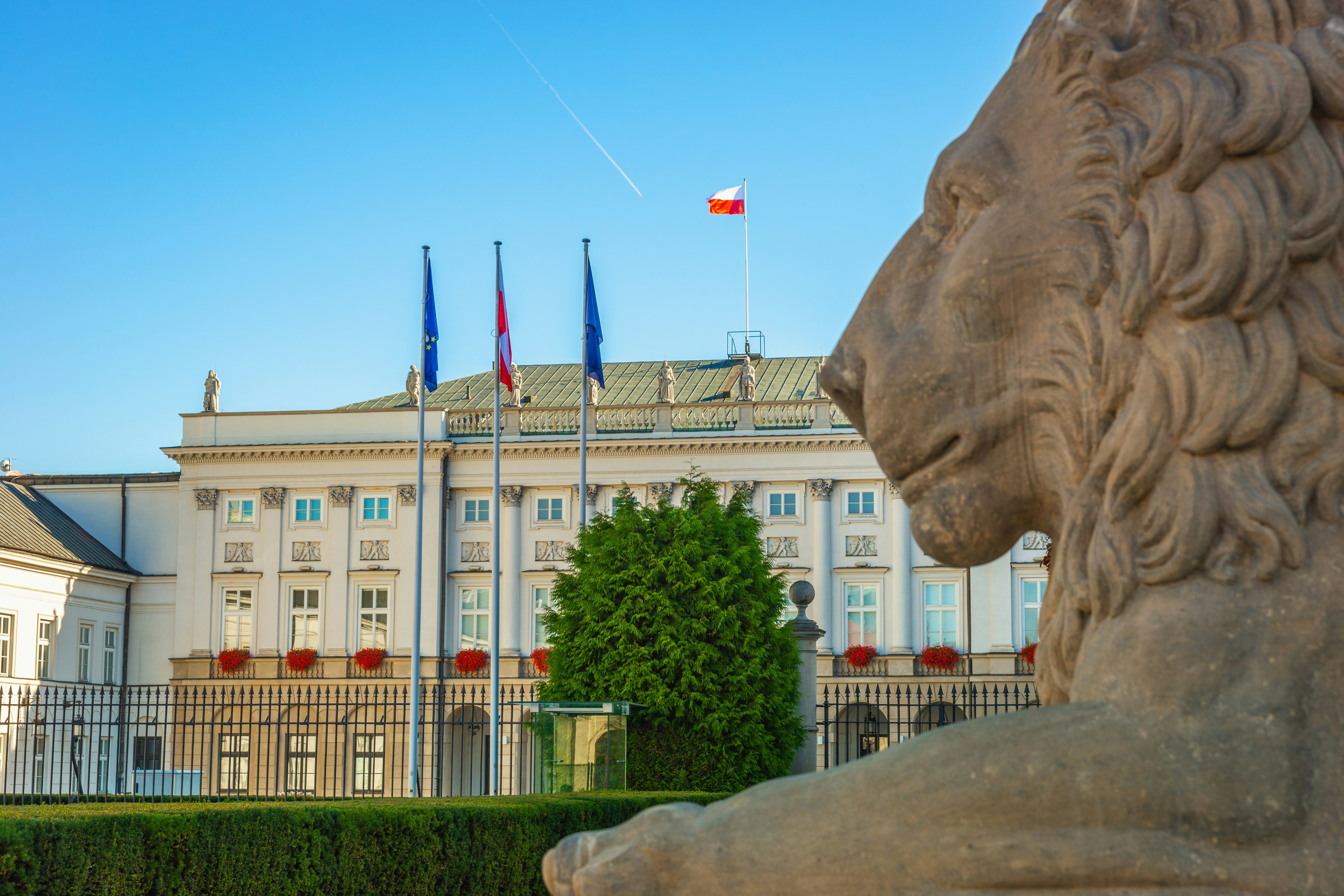 Stone Lion in the Forecourt: Framing a Civic Facade