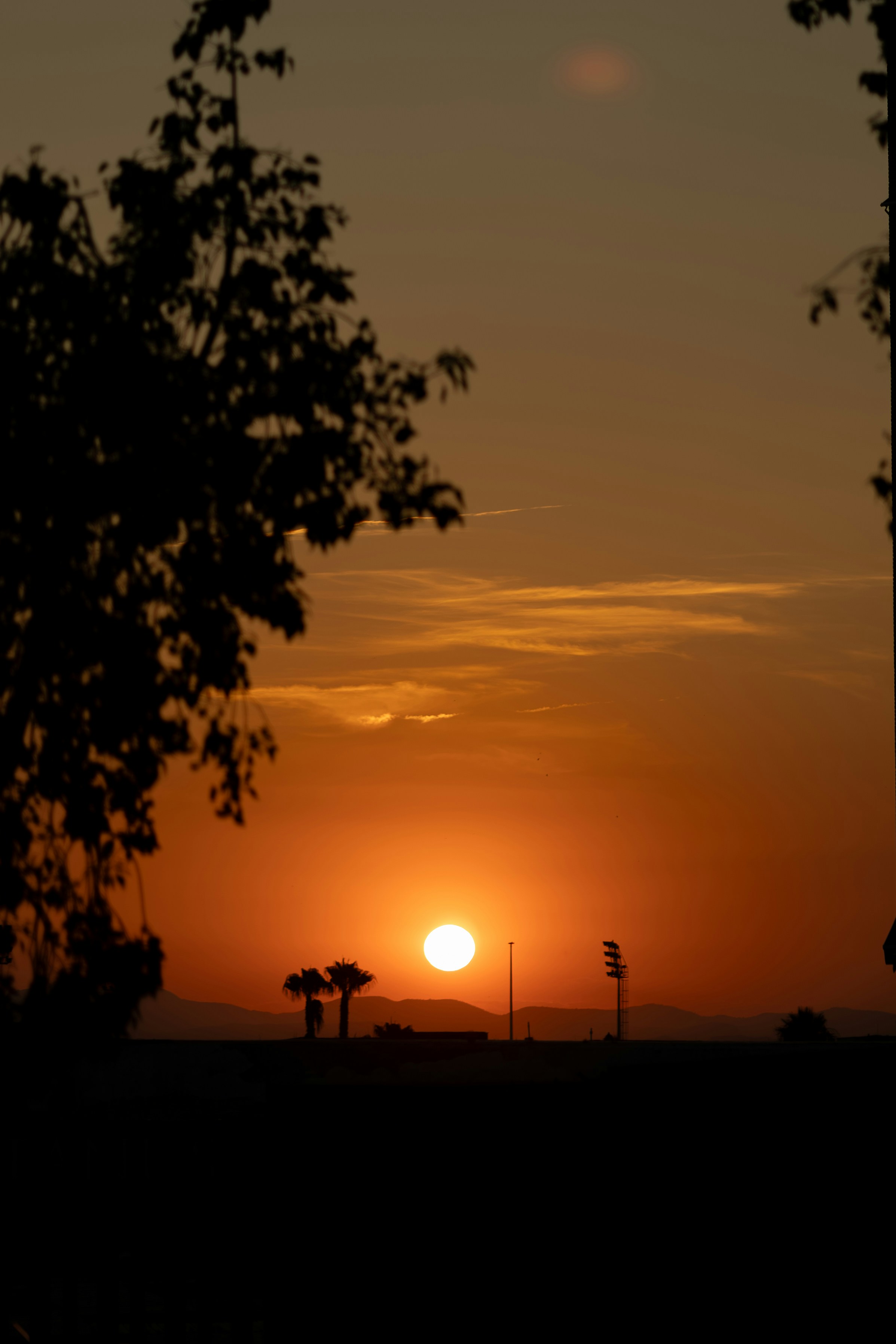 Sunlit silhouette: horizon glow over a desert landscape at dusk