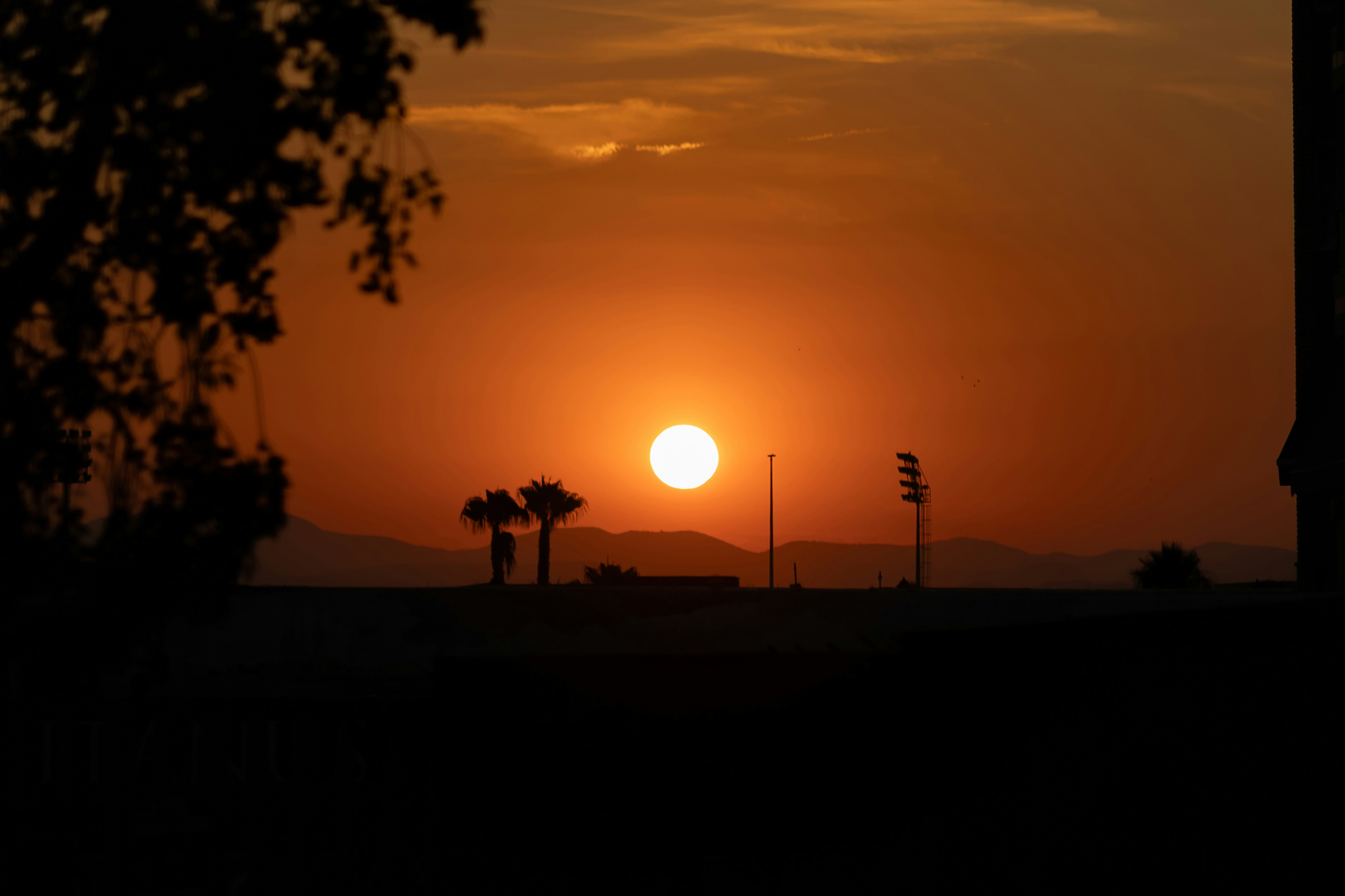 Golden Hour on the Horizon: A Quiet Sunset over Palm Silhouettes