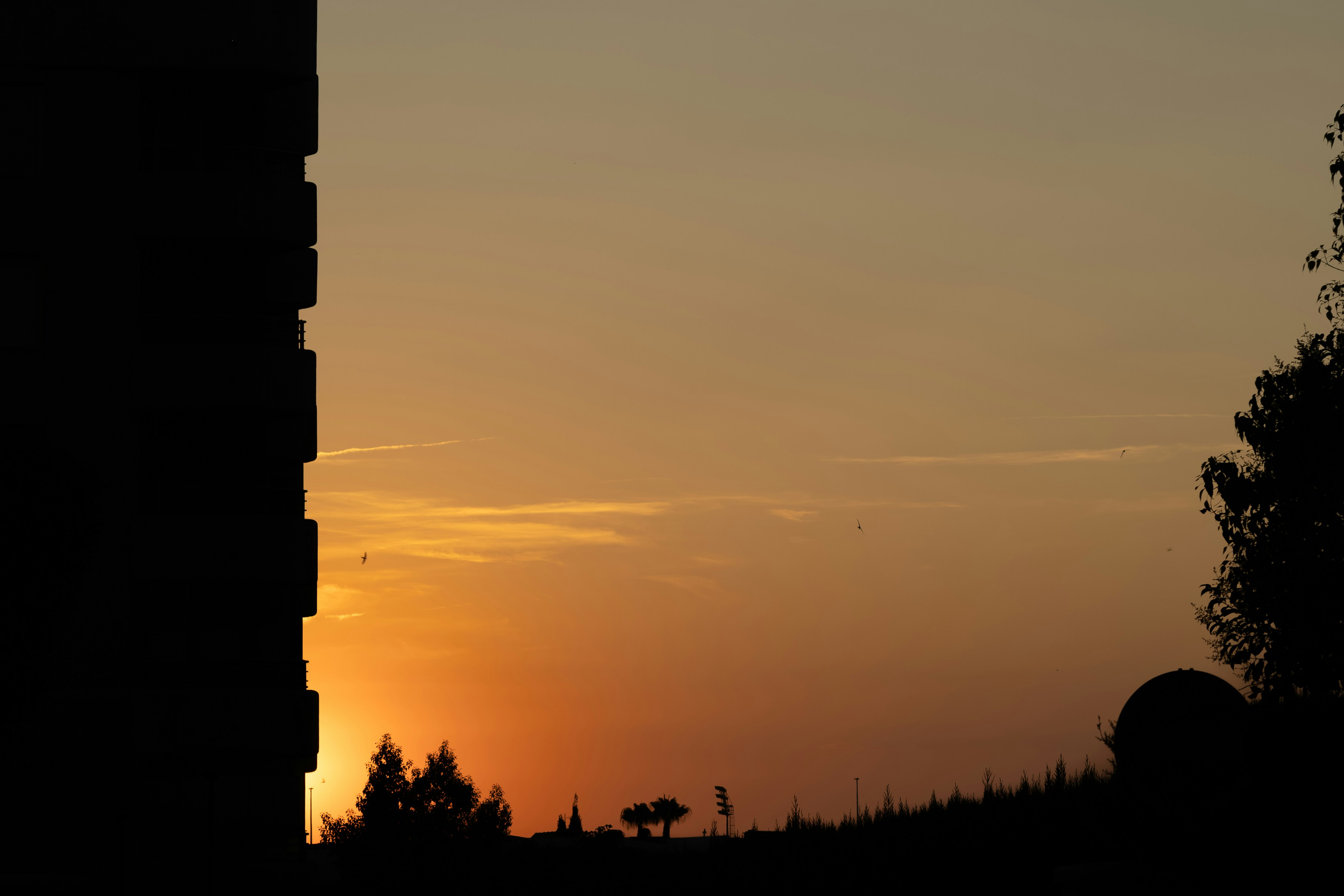 Dusk Silhouette Over a Quiet Horizon