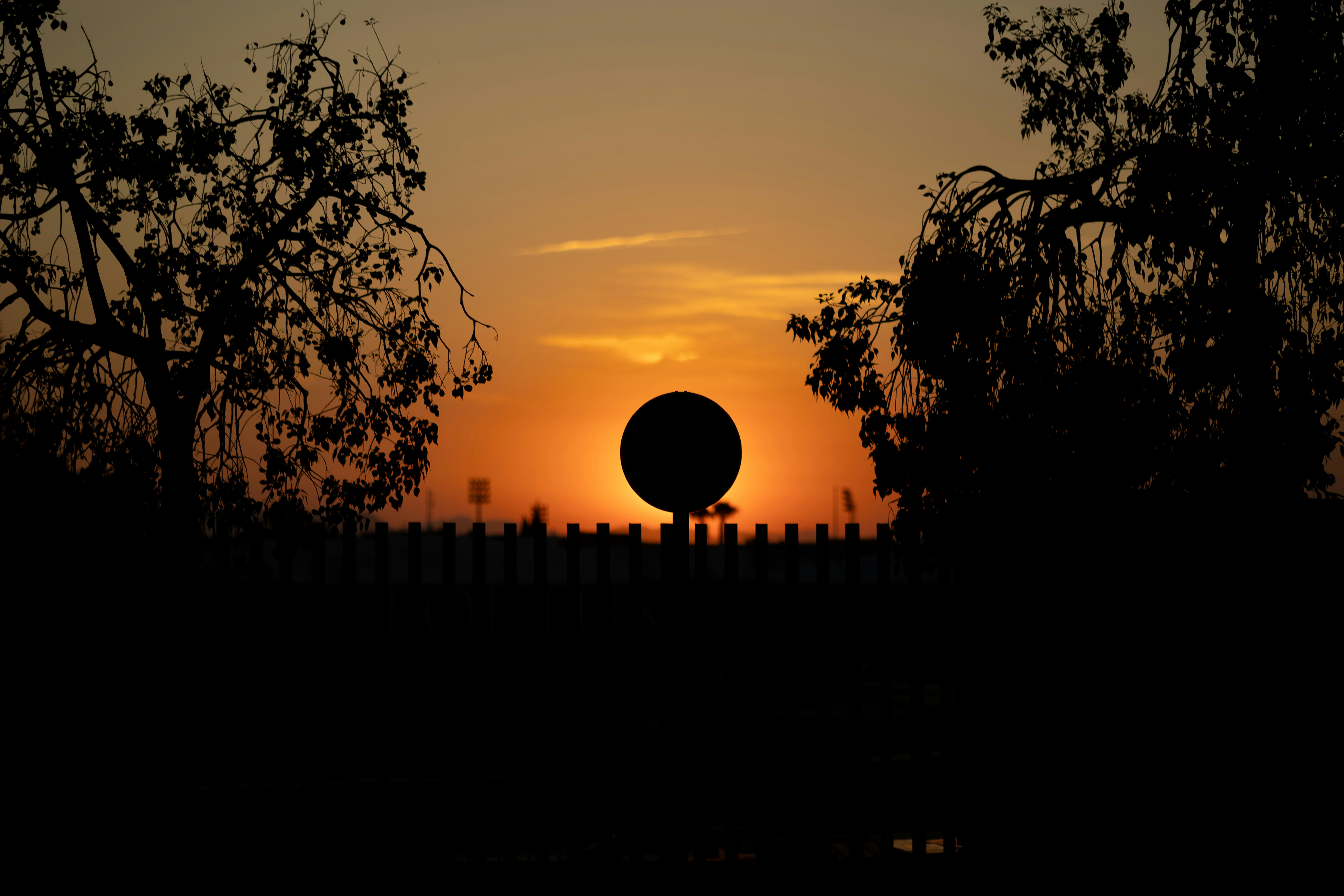 Silhouette Sphere at Dusk: A Fence-Line Sunset