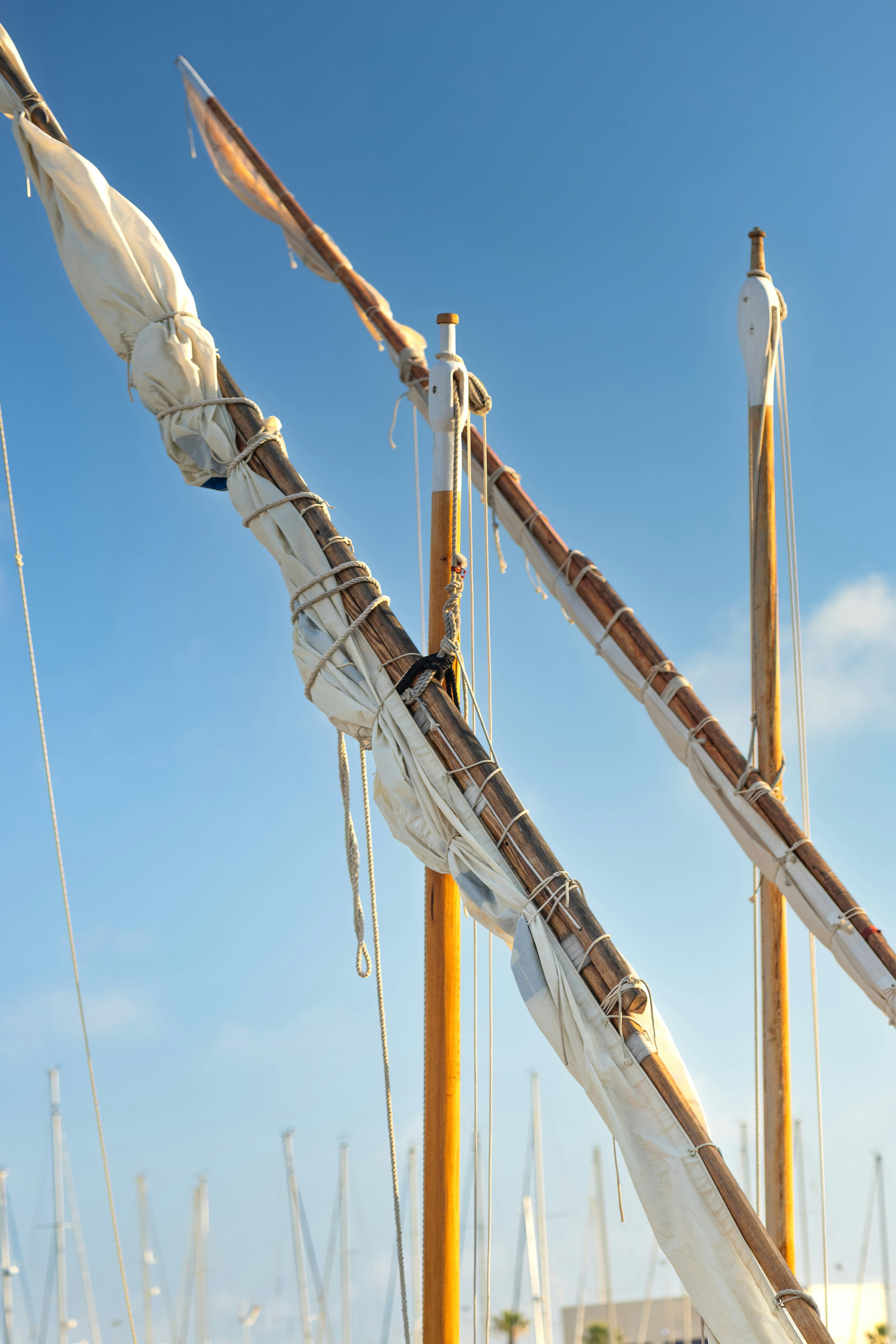 Mast Lines and Clear Sky: A Seafarer’s Quiet Geometry