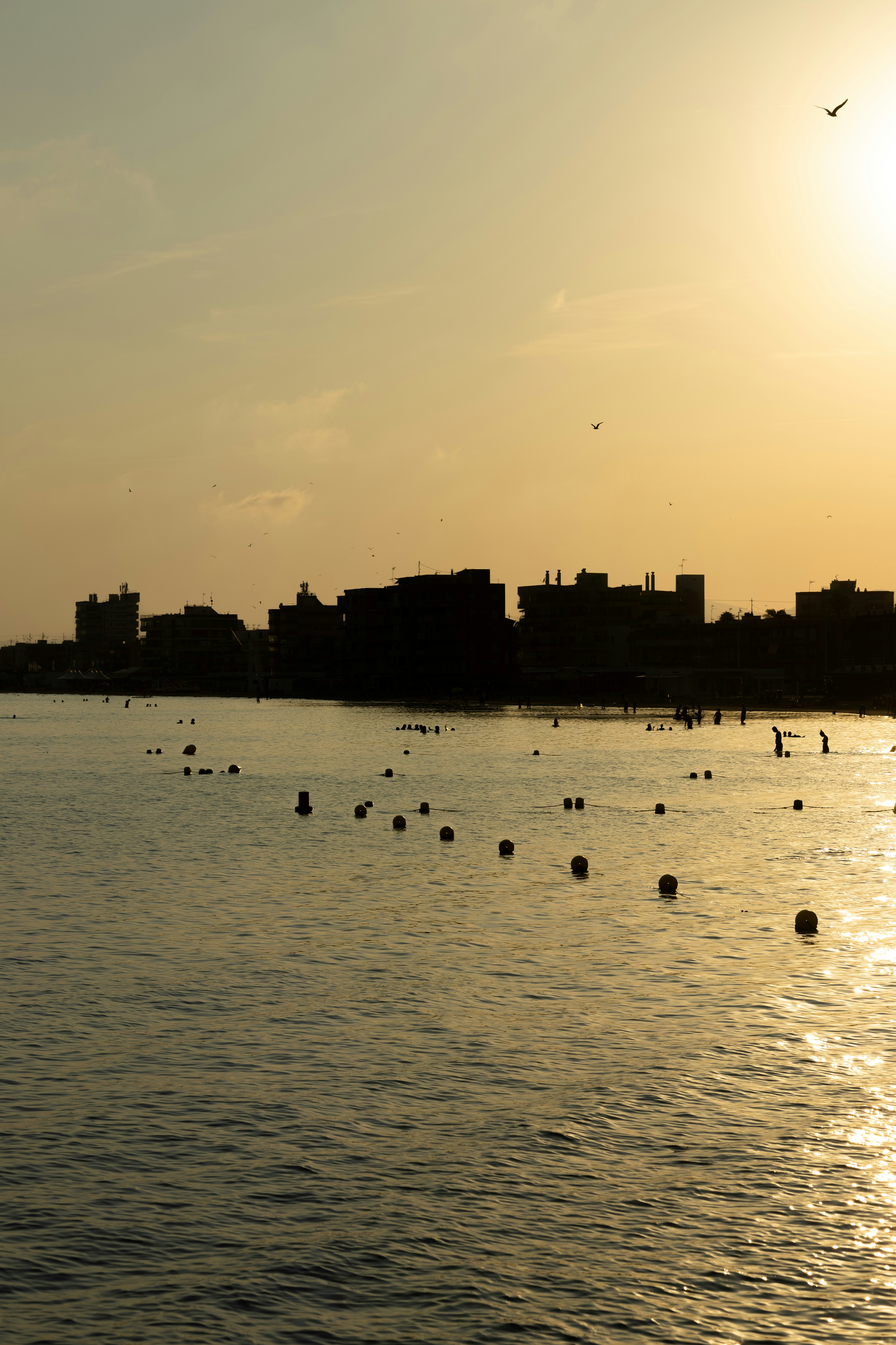Golden Shoreline at Dusk: Silhouette of the City Against the Sunset