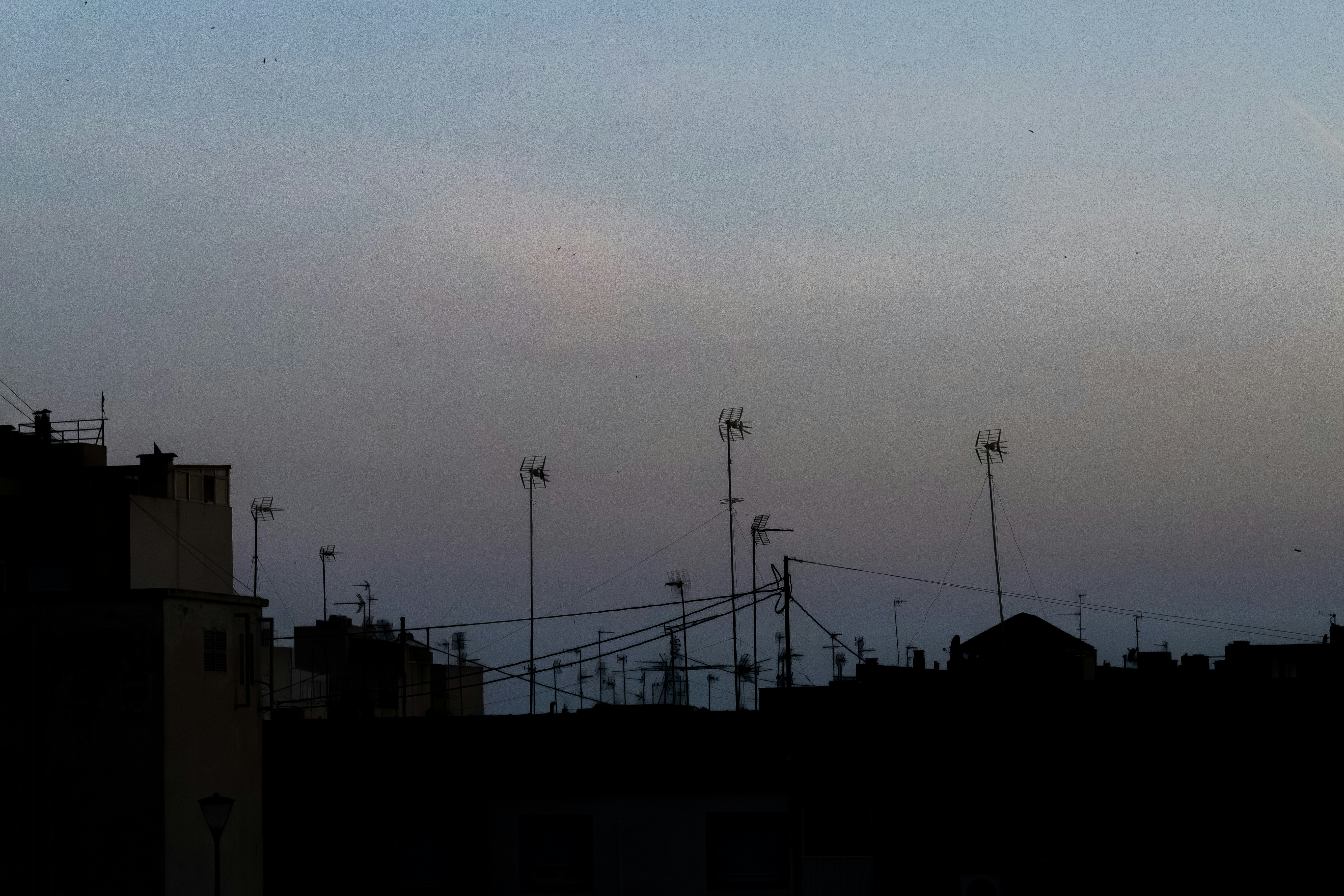 Evening Silhouette: Rooftops and Antenna Grid Against a Quiet Sky