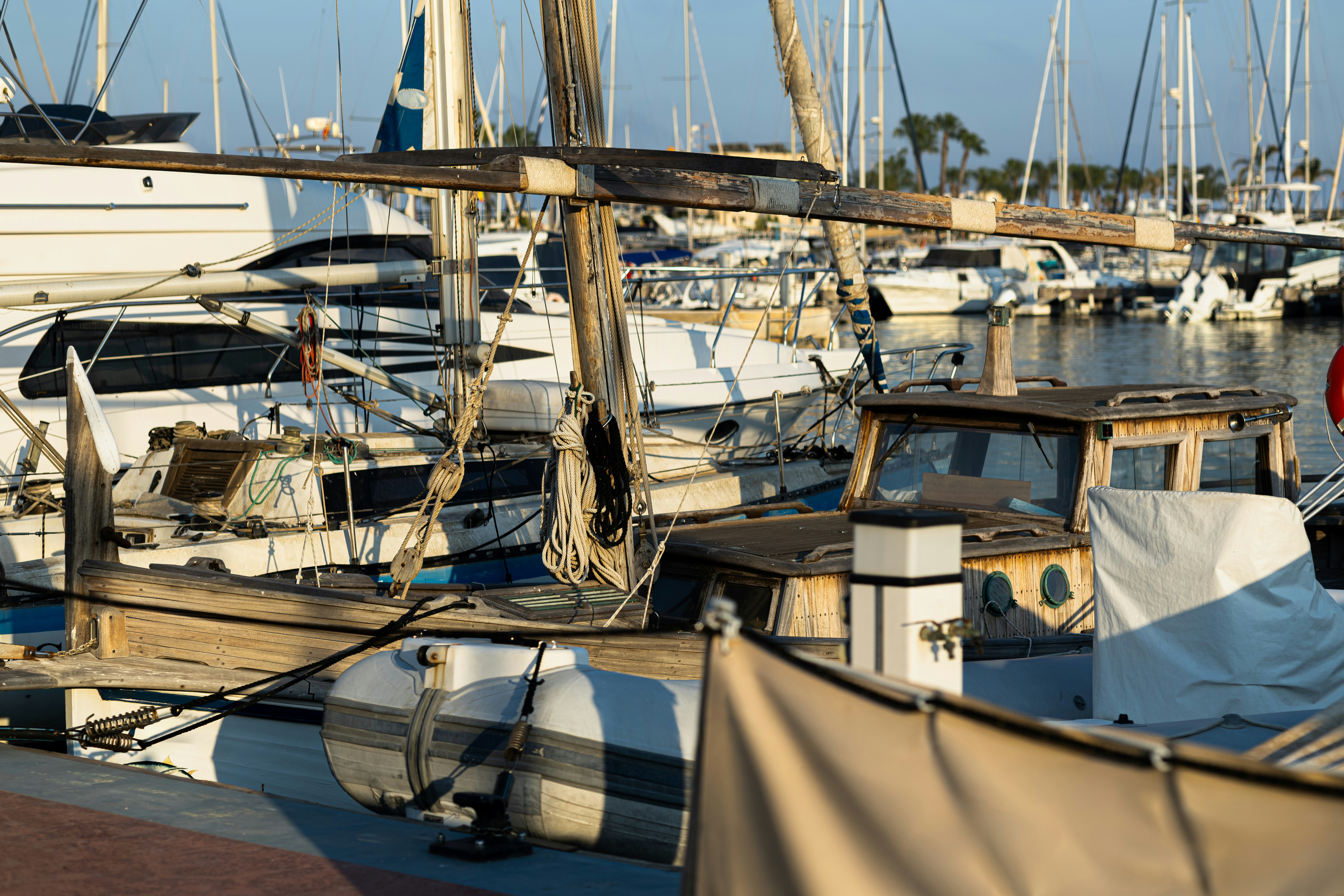 Masts and rigging in a sunlit marina garden