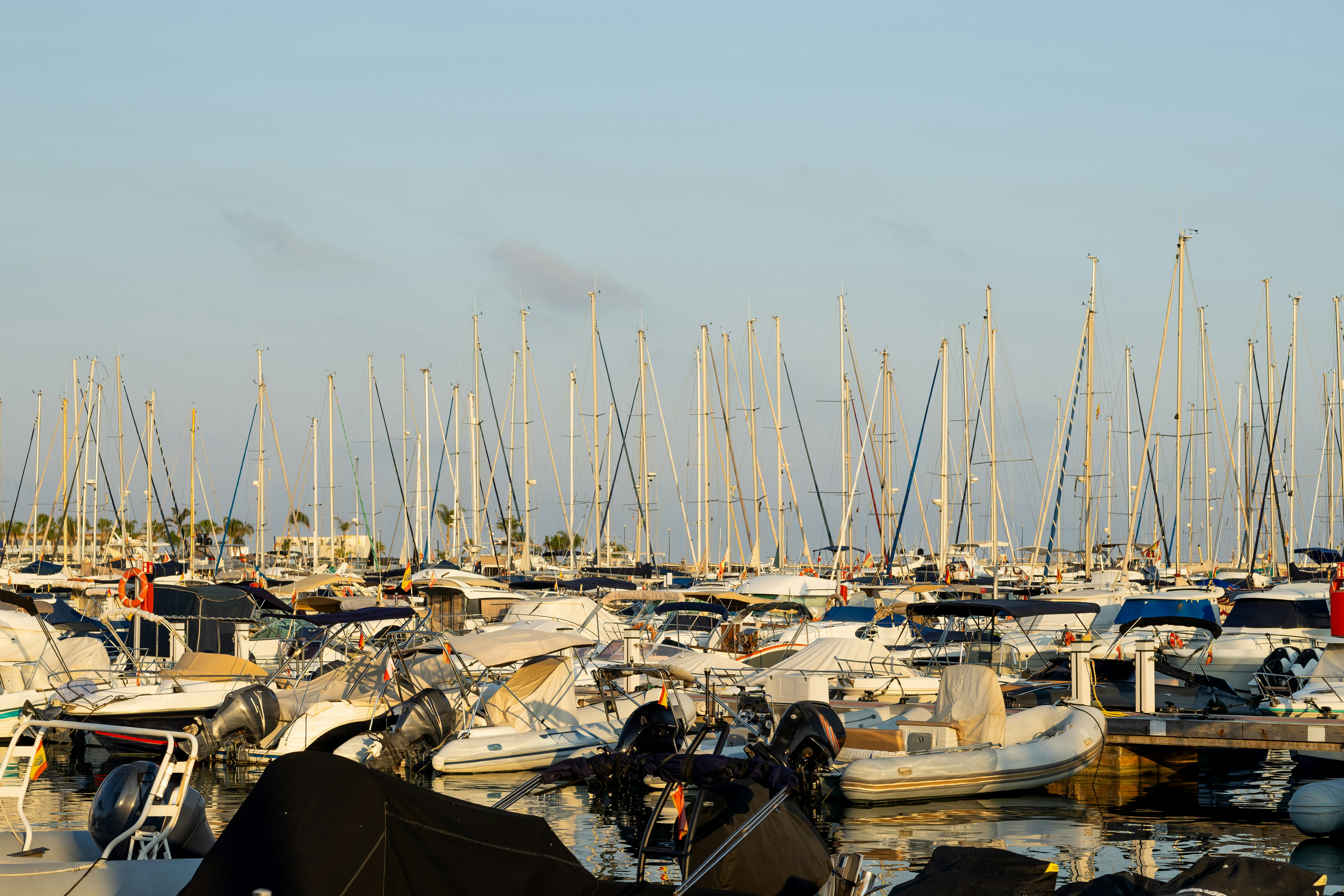 Mast-Pocked Marina at Dusk: A Sea of Quiet Lines