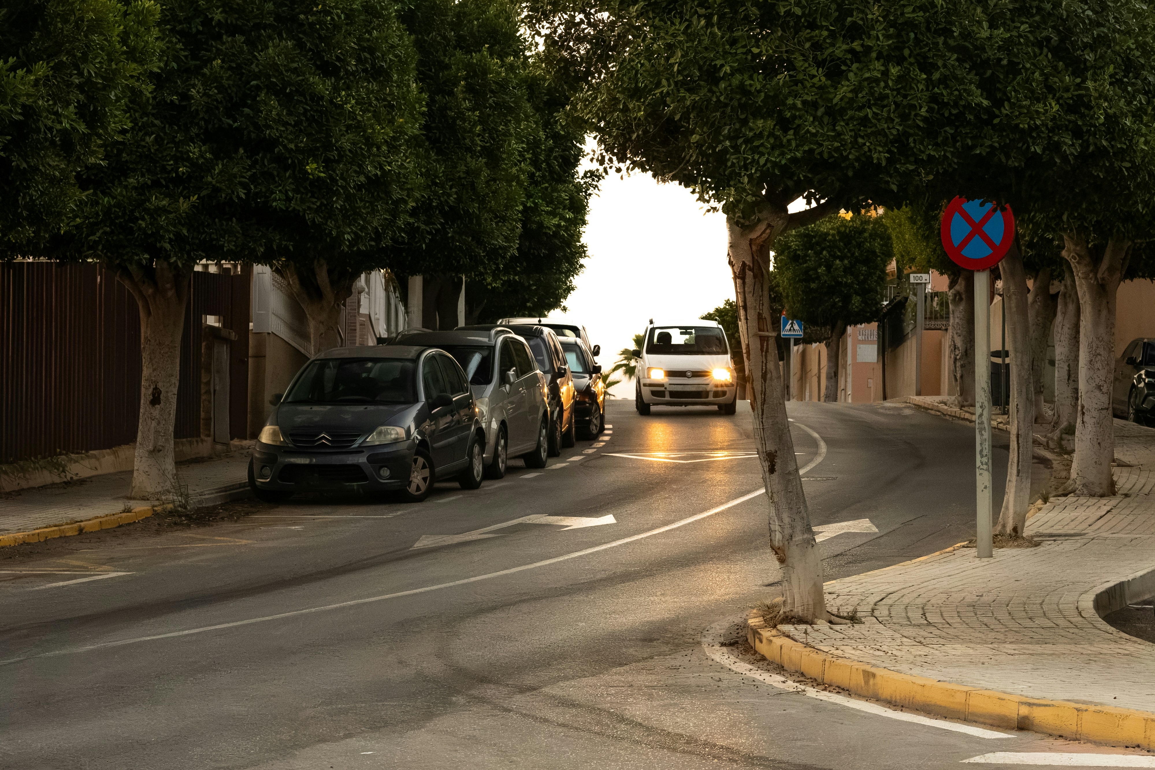 Golden Hour Street: Cars Wake the Quiet Avenue