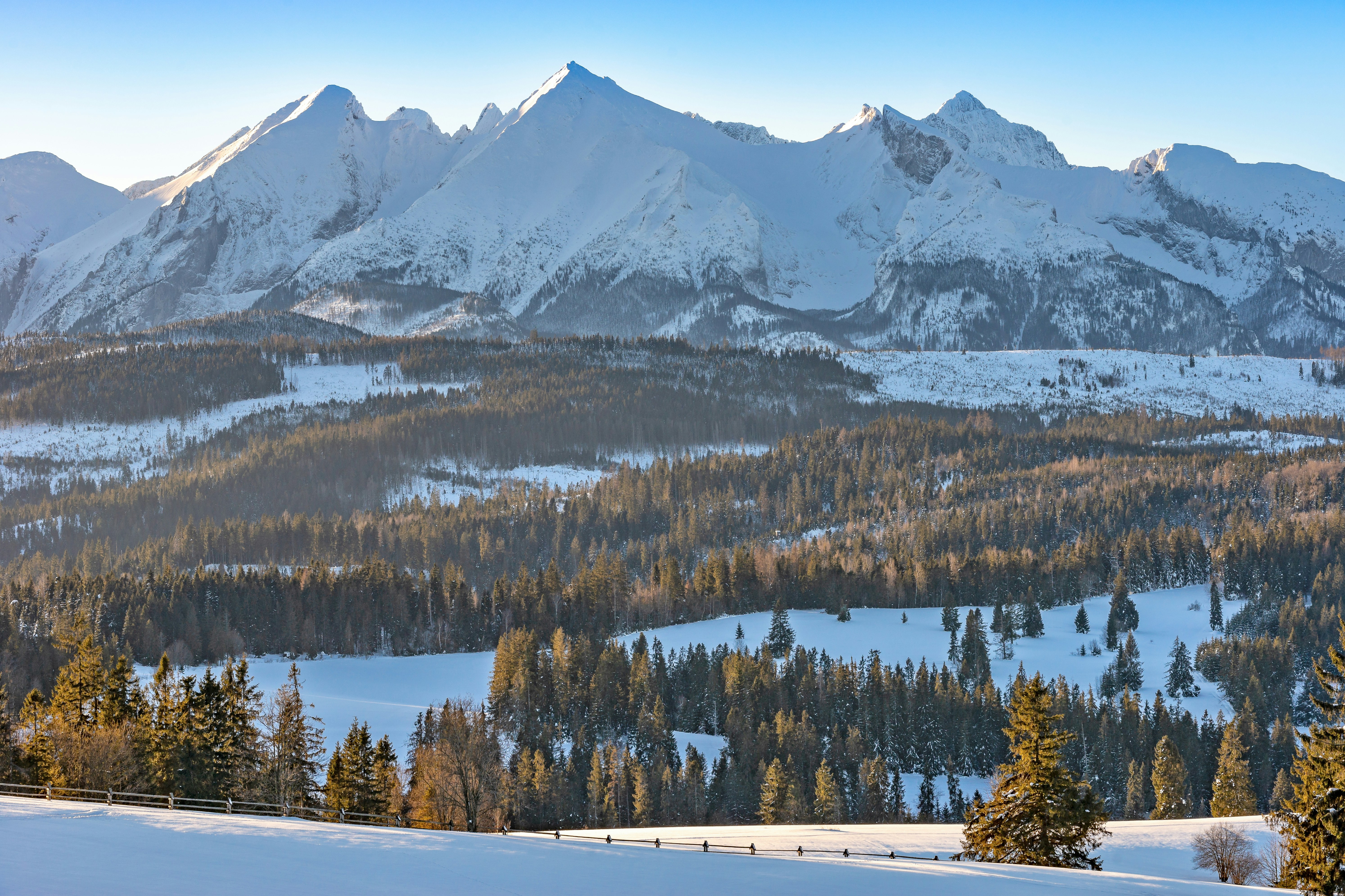 Snowbound Giants: A Pristine Alpine Vista Under Clear Winter Light