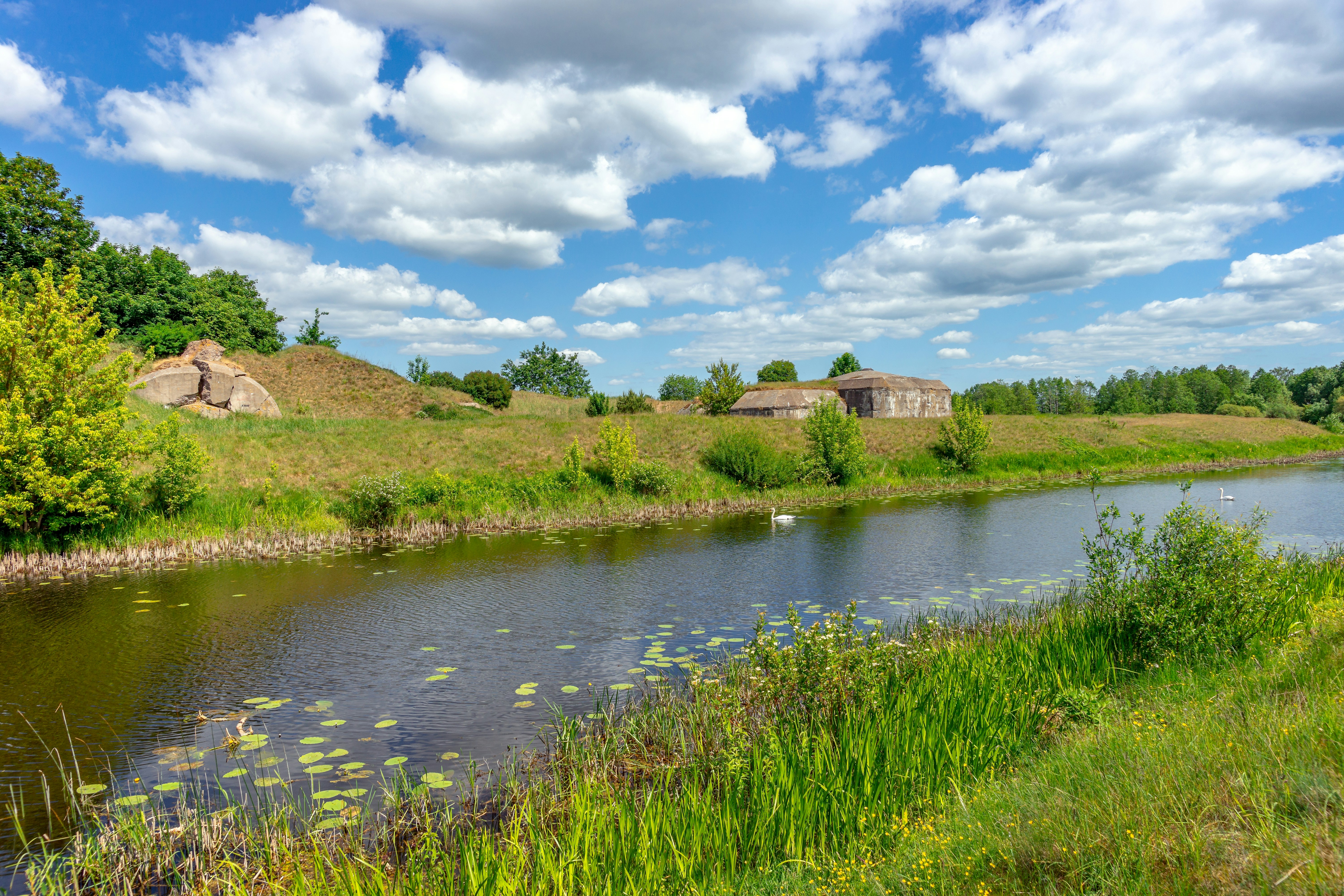 Riverbank Echoes: A Sunny Linear Landscape Under a Cotton-Clouded Sky