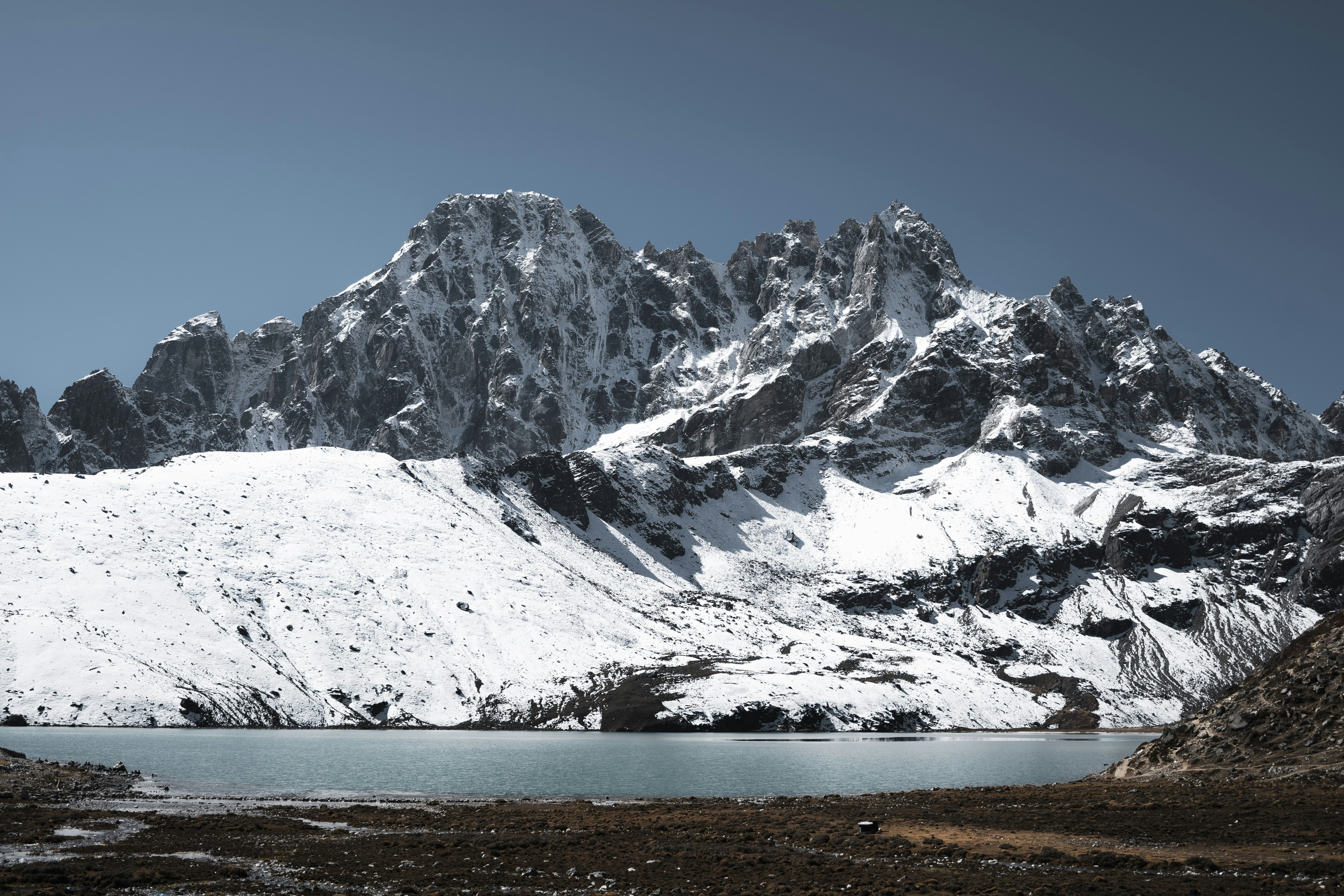 Icebound Giants at the Edge of a Quiet Lake