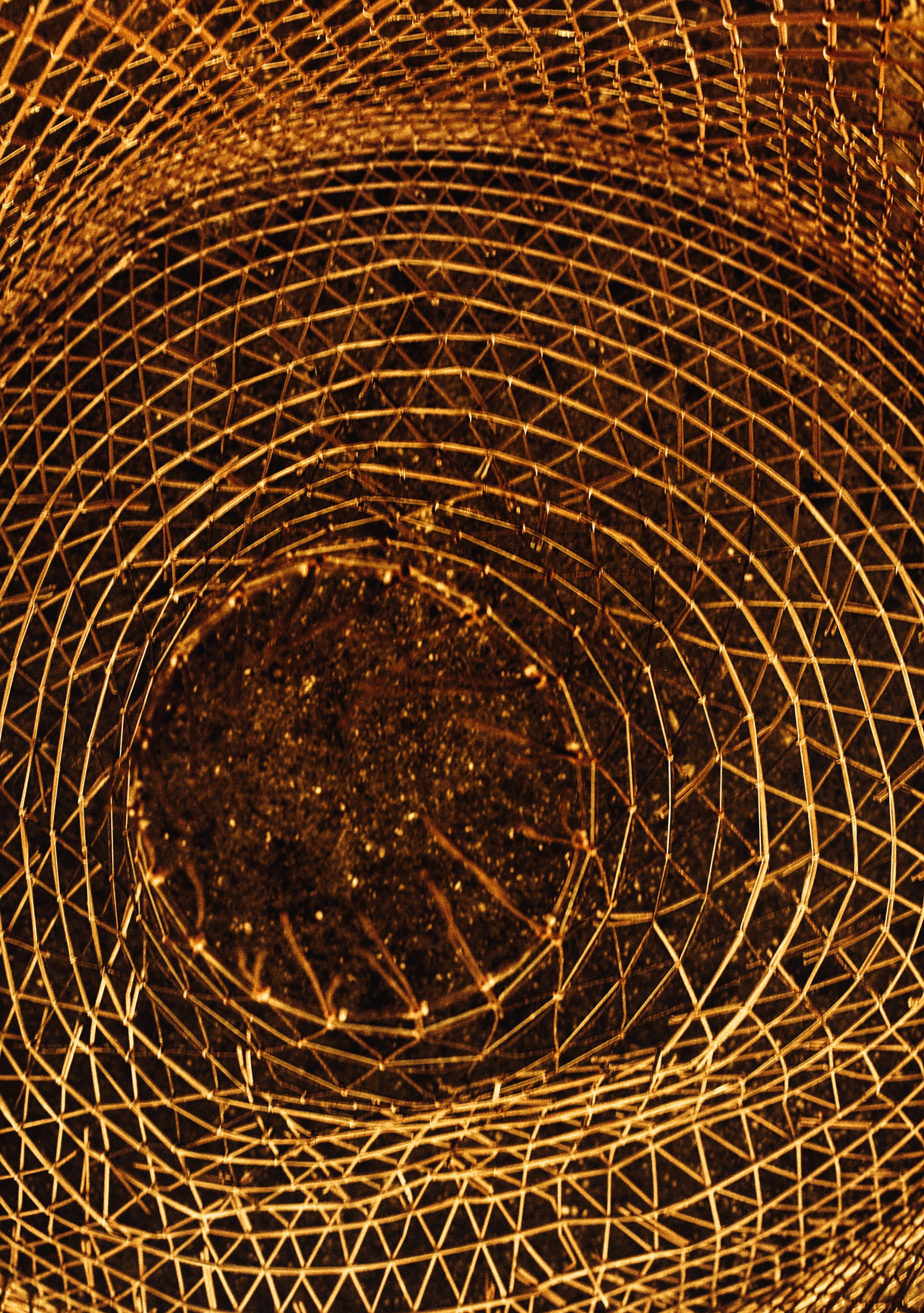 Coiled Helix of Light: A Golden Wire Fractal